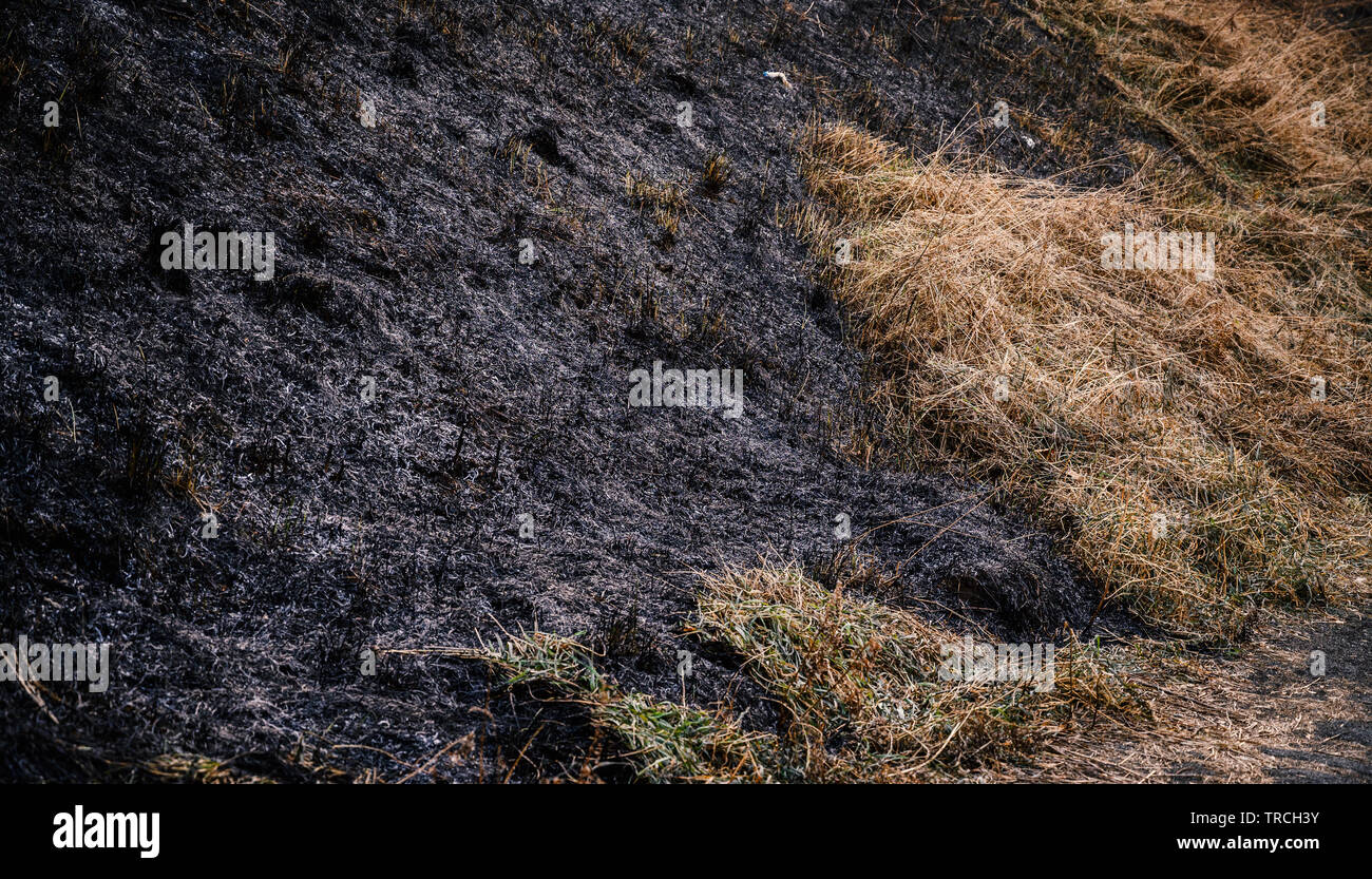 Burned grass hi-res stock photography and images - Alamy