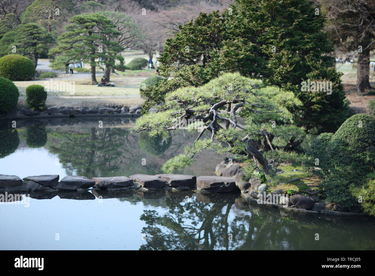 Pond in the park with the transition from the large flat stones. The ...