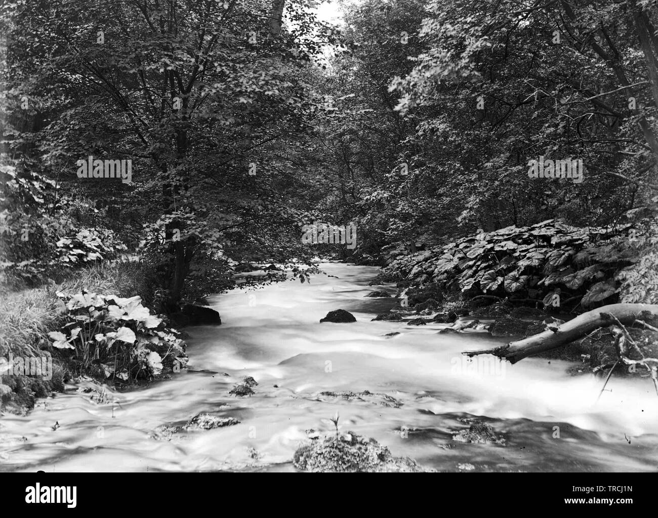 Larger rivers Black and White Stock Photos & Images - Alamy