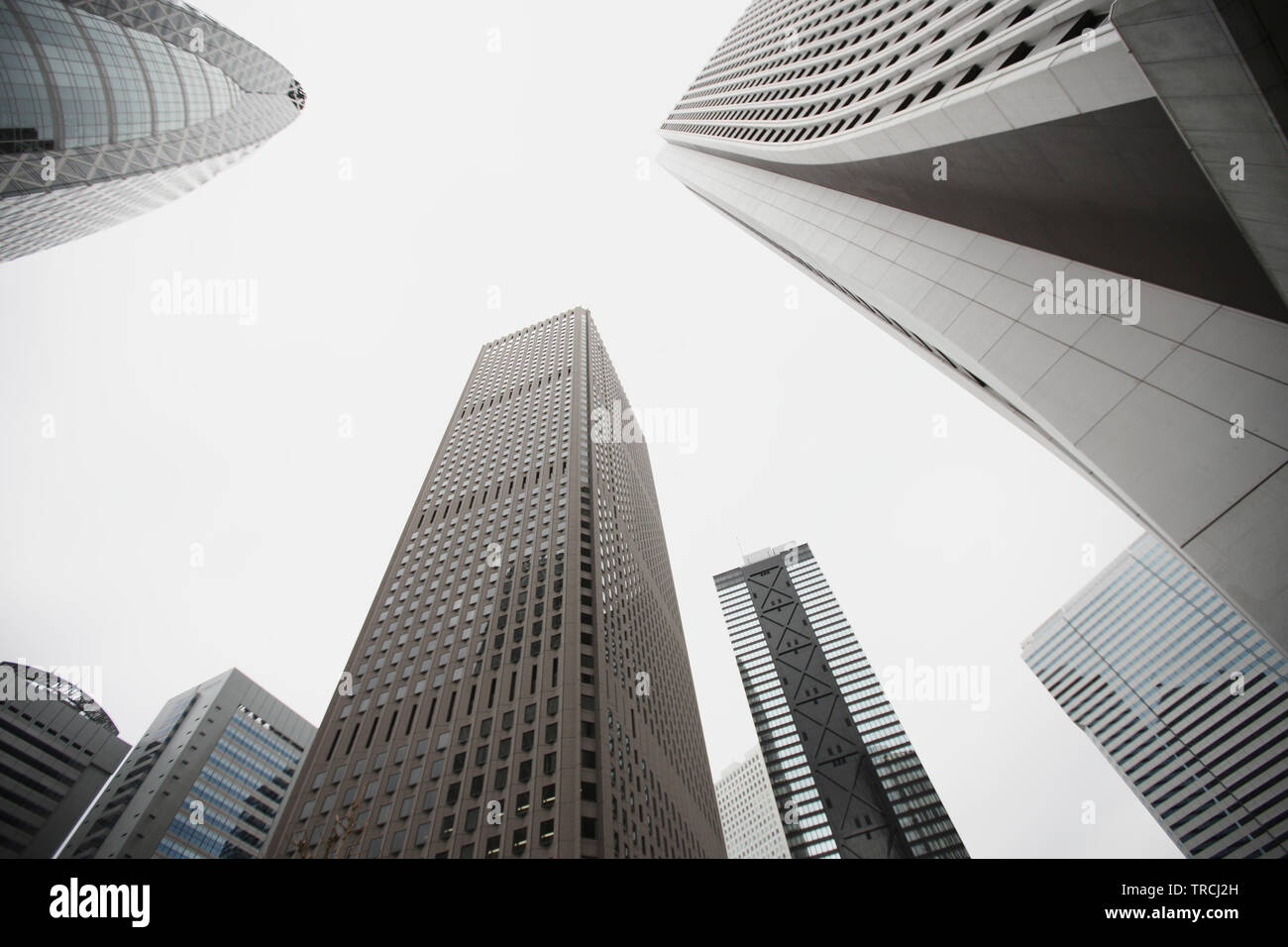 Skyscrapers of glass and concrete modern downtown aspire upwards Stock ...