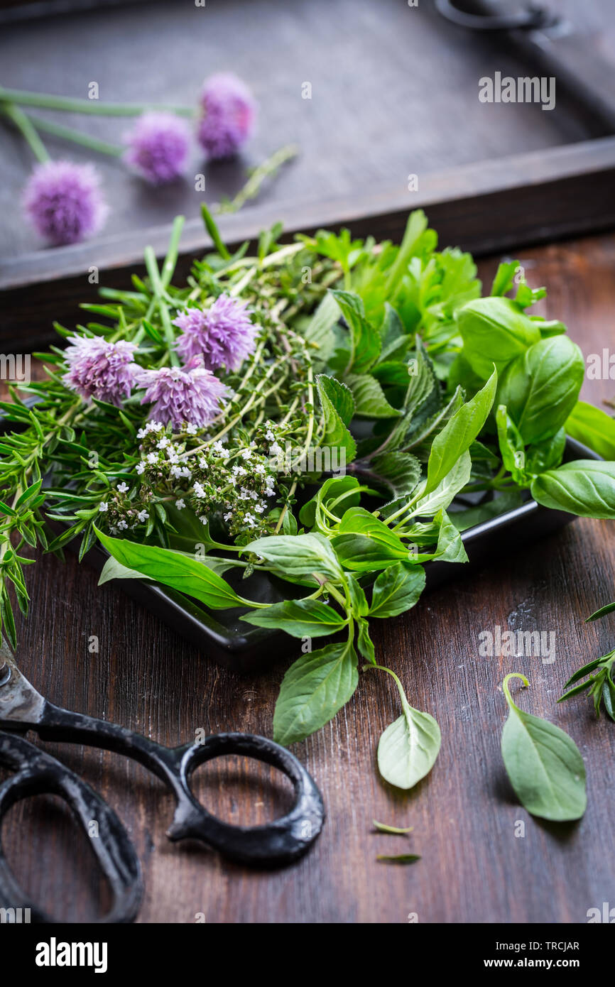 Bunch of different herbs for cooking on wooden background Stock Photo ...