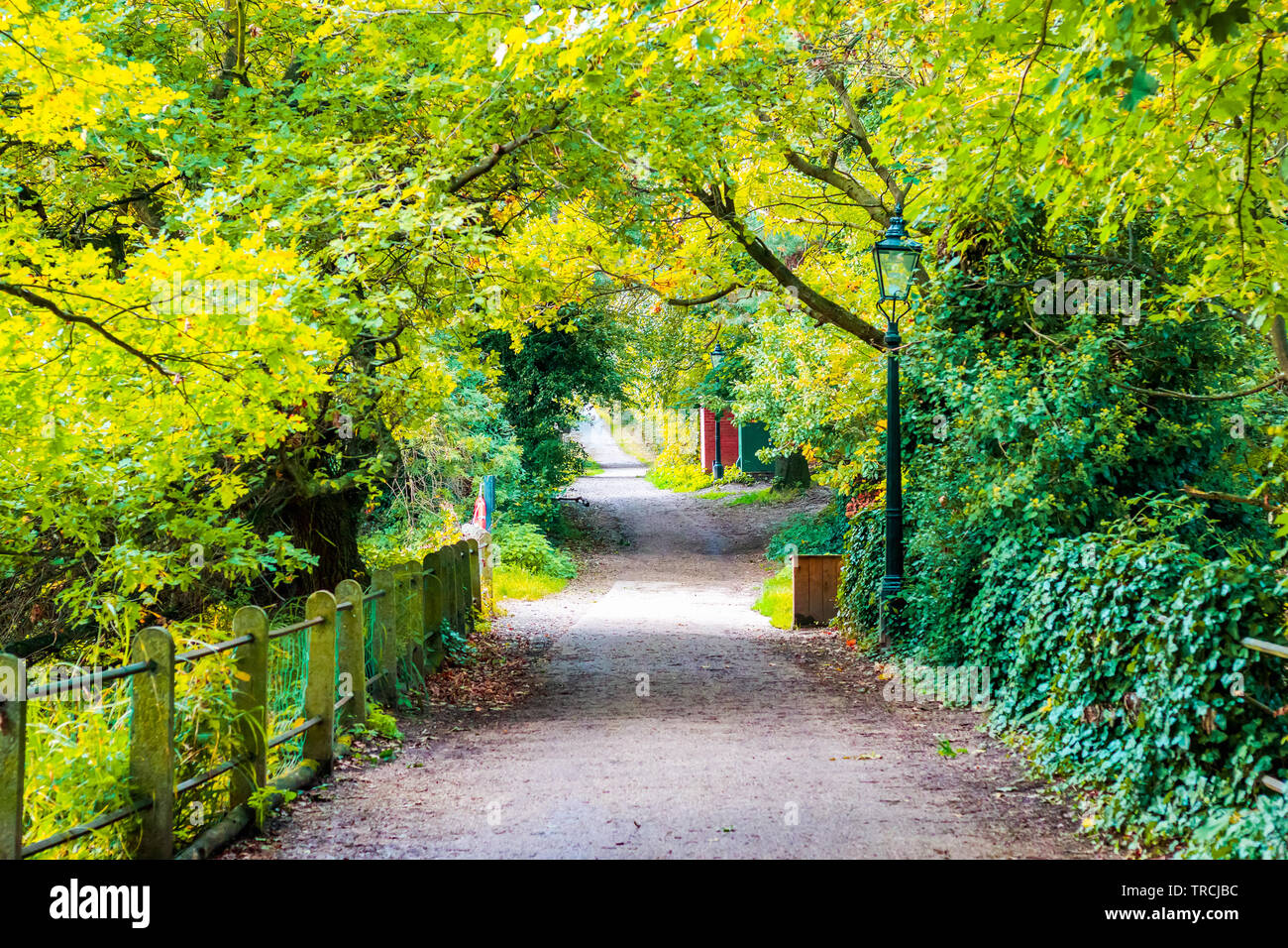 Walking trail in Hampstead Heath of London Stock Photo - Alamy