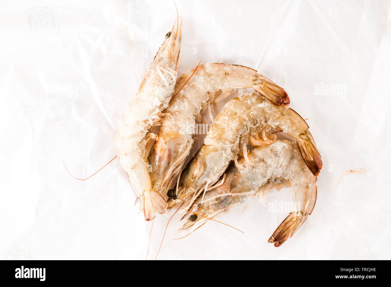 Photo picture of some fresh shrimps prawns fish food Stock Photo - Alamy
