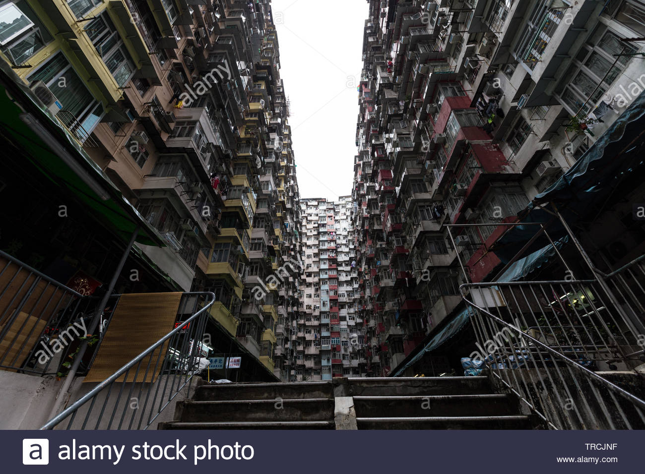 Fat Like High Resolution Stock Photography and Images - Alamy