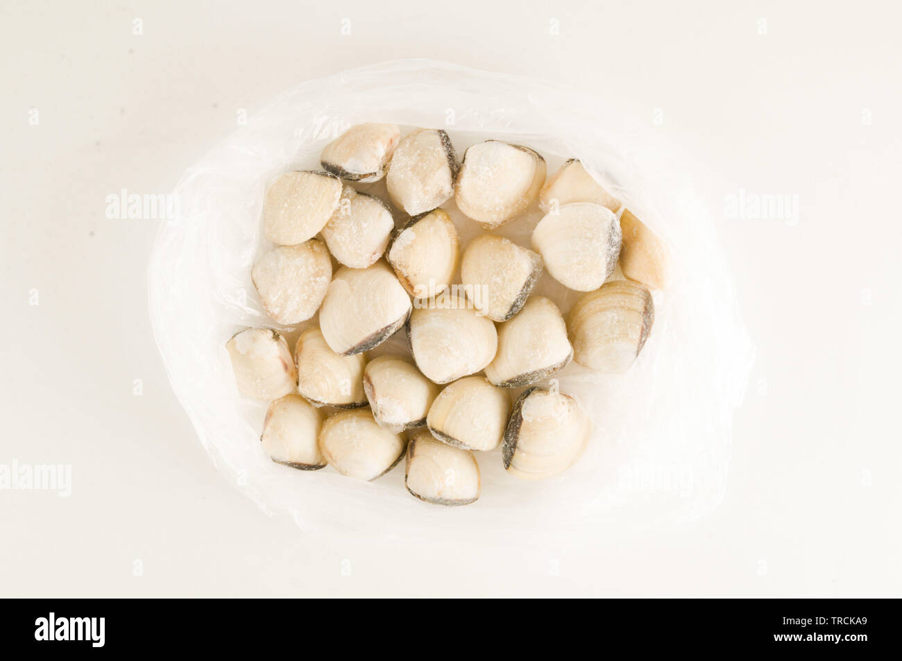 Collection of various clam shells from pacific ocean Stock Photo - Alamy