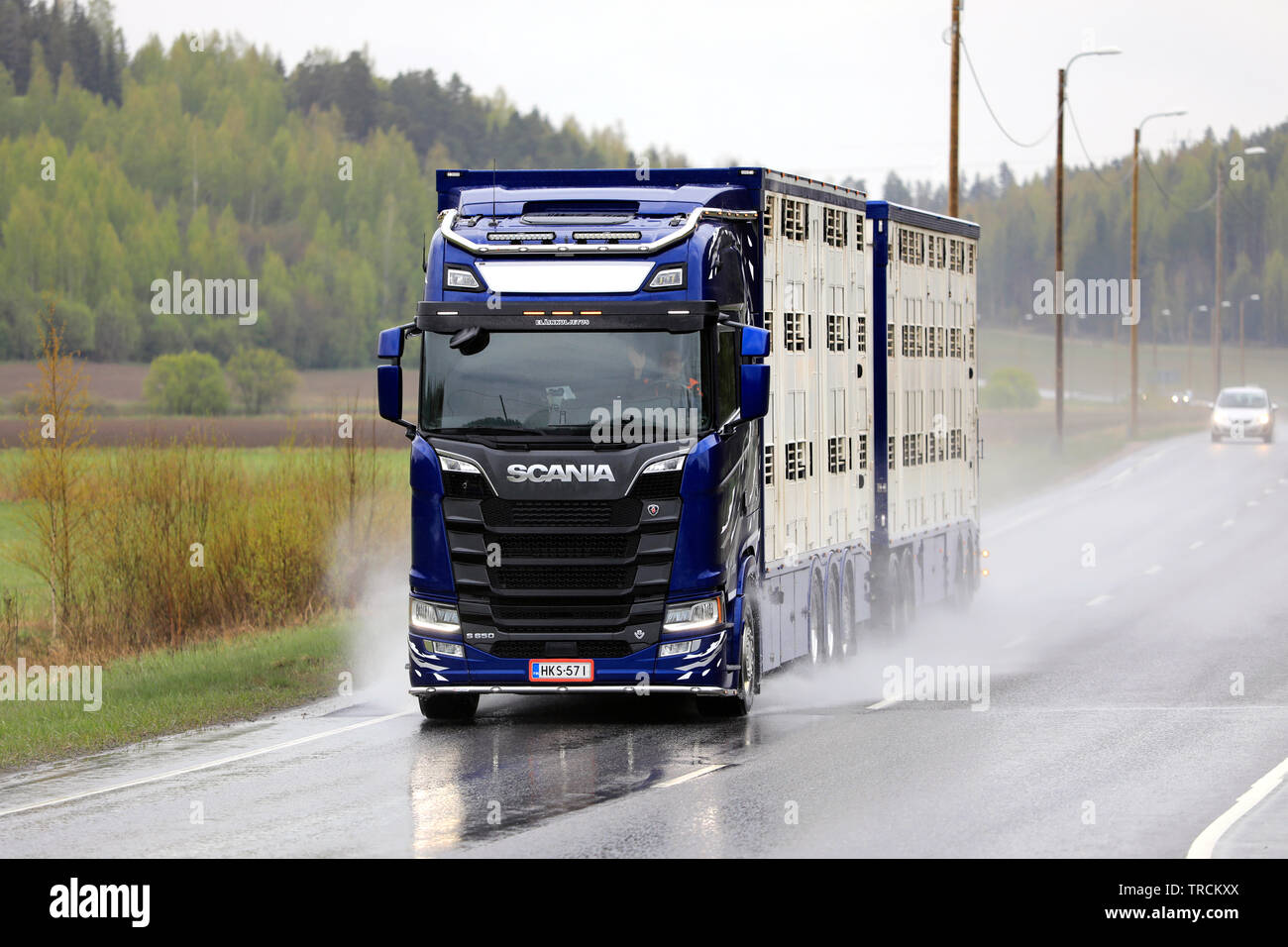 Salo, Finland. May 10, 2019. New blue Scania S650 pulls livestock ...