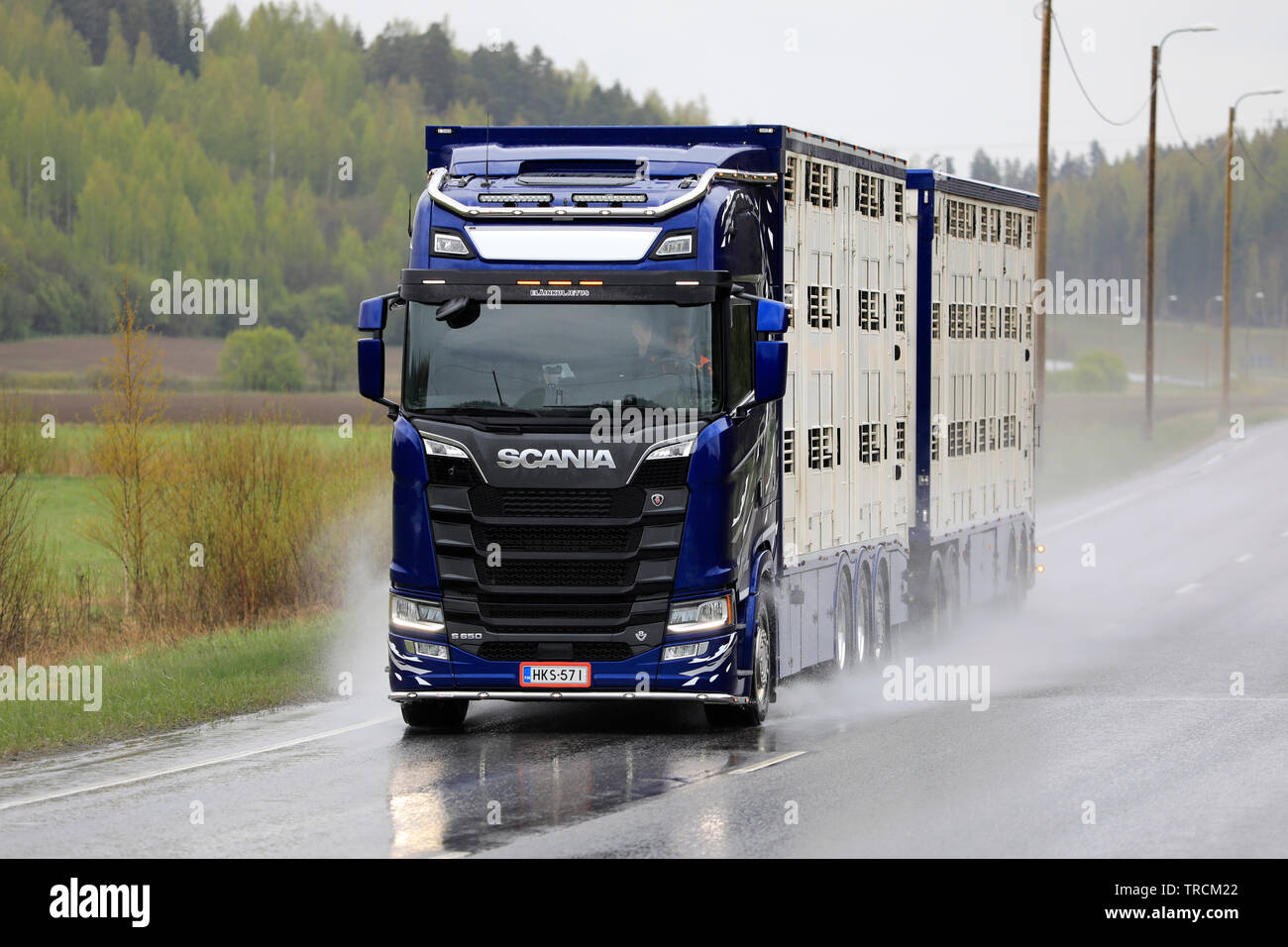Salo, Finland. May 10, 2019. New blue Scania S650 pulls livestock ...