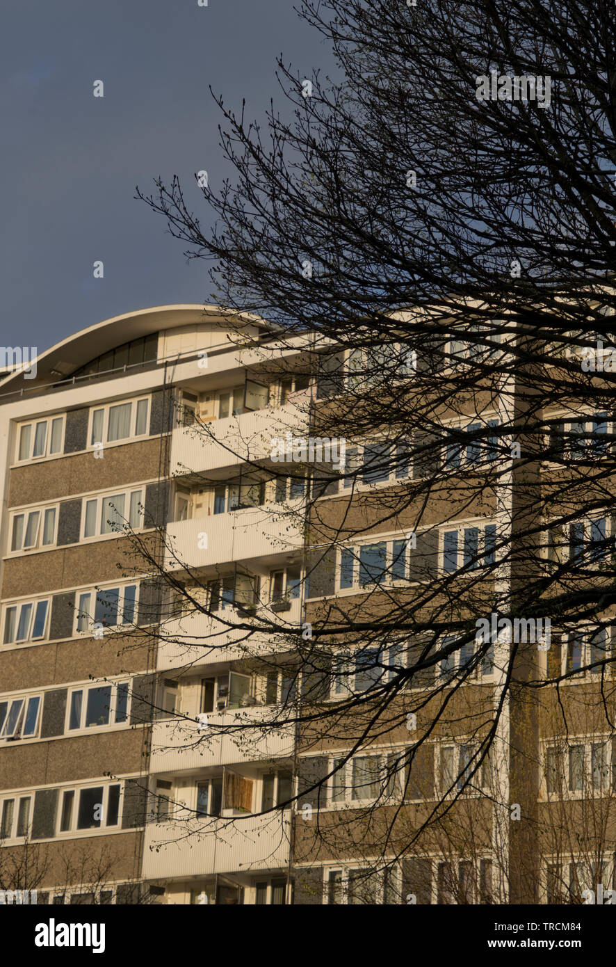 Social housing council blocks in Islington,London,England,UK Stock ...