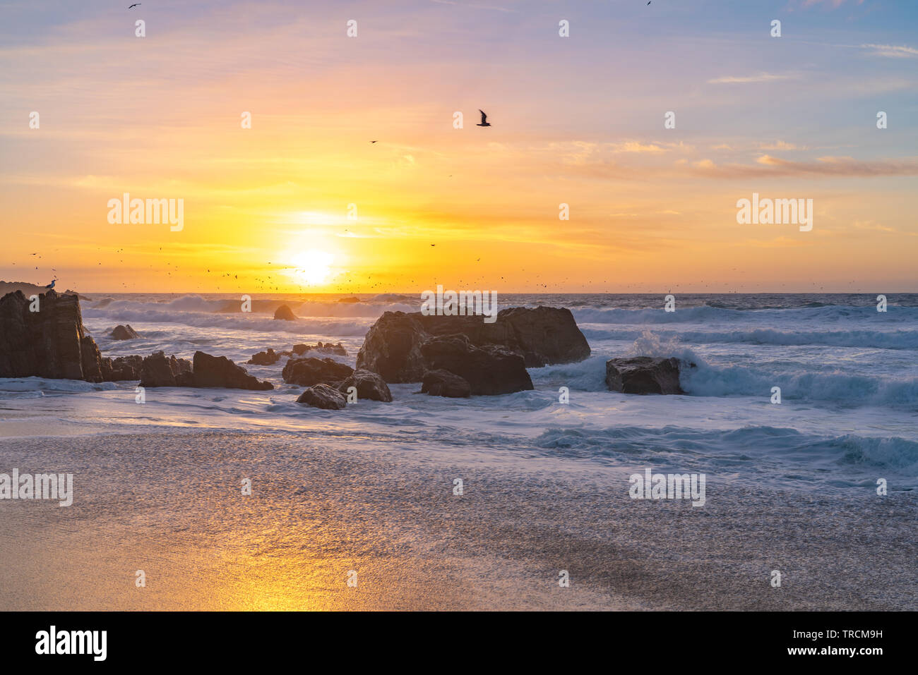 Sunset along a sandy Big Sur, California beach with large waves rolling ...
