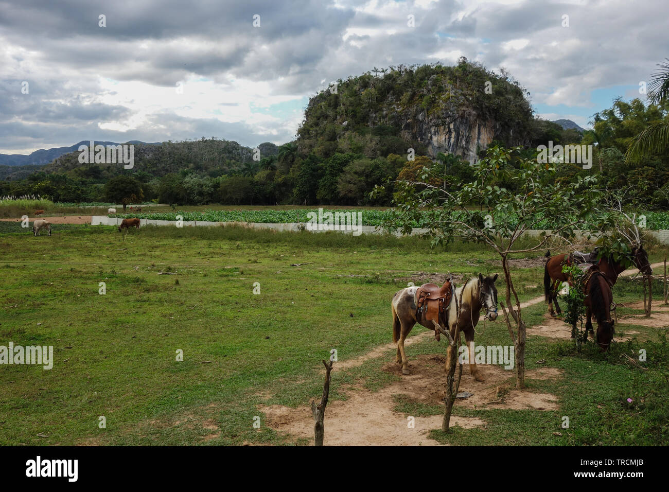 Guided horseback riding tour in the famous tourist destination and ...