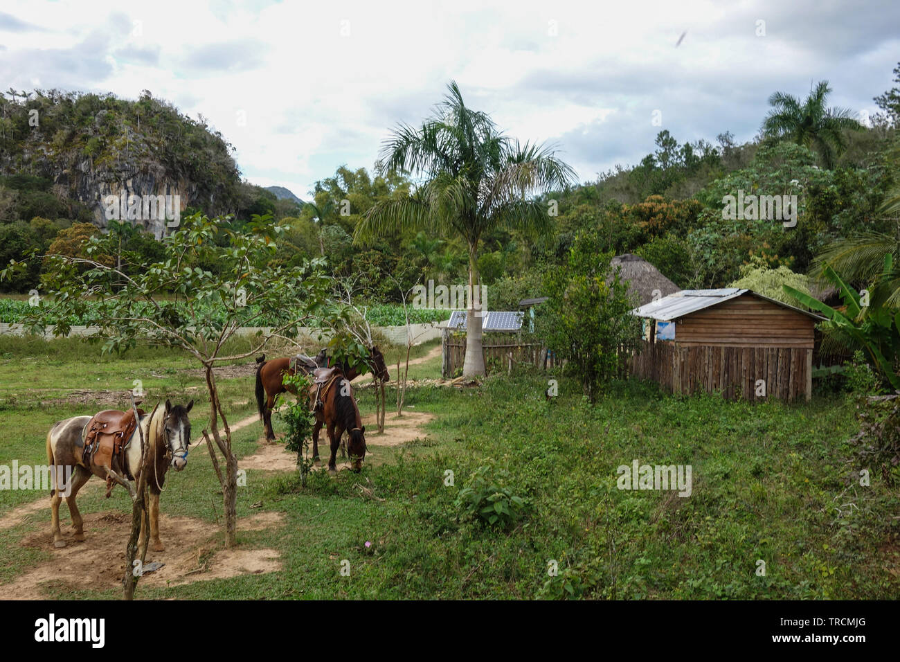 Guided horseback riding tour in the famous tourist destination and ...
