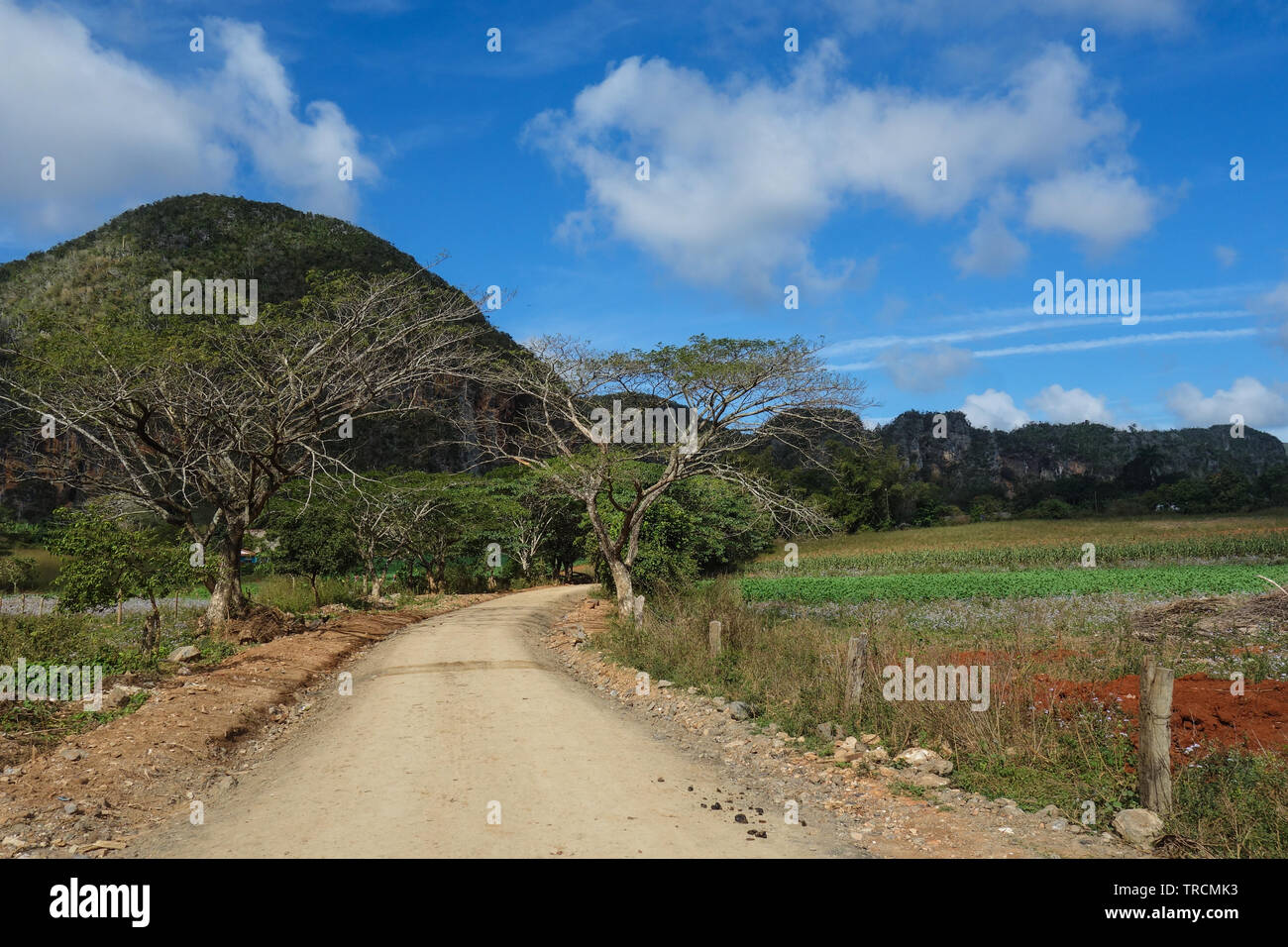 Cuban nature hi-res stock photography and images - Alamy