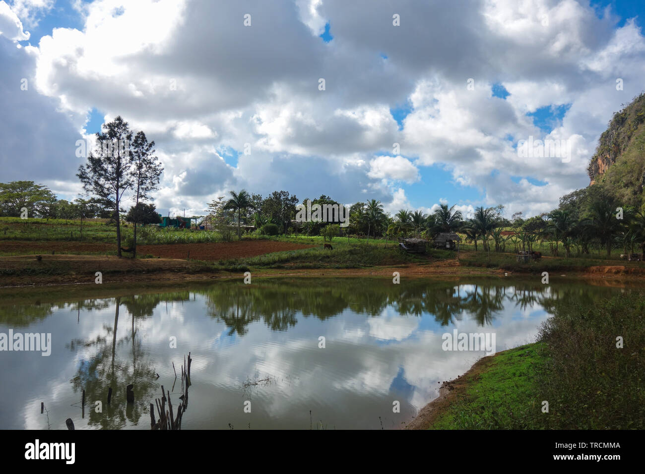 View of Cuban landscape in Vinales Valley National Park with tobacco ...