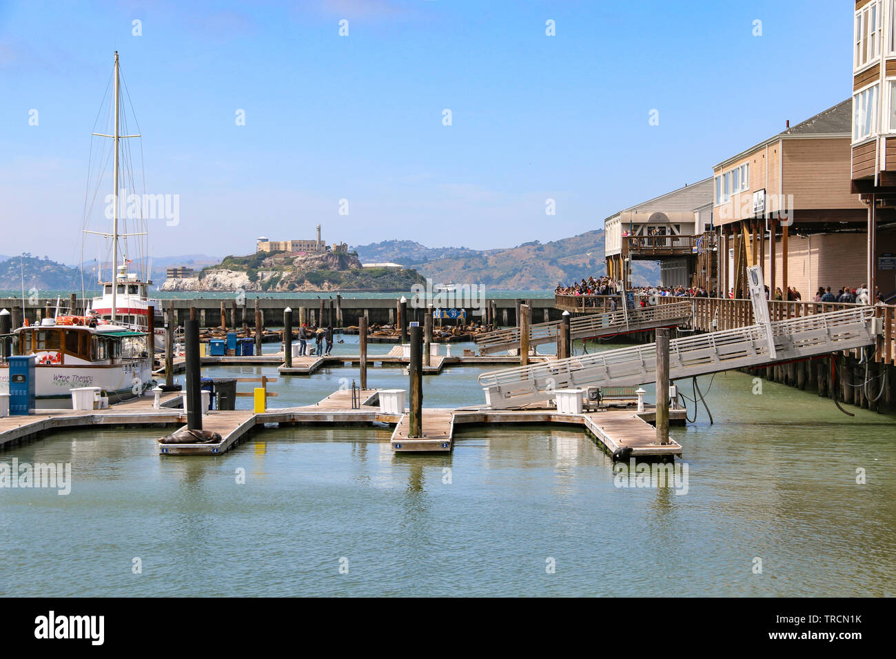 Pier 39 Sea Lions & Alcatraz Island, San Francisco, California Stock ...