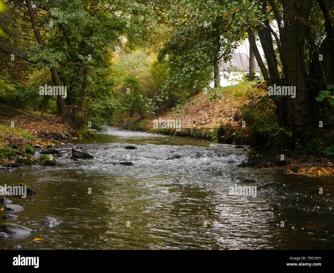 A photo of a german river "Alb" in Ettlingen Stock Photo - Alamy