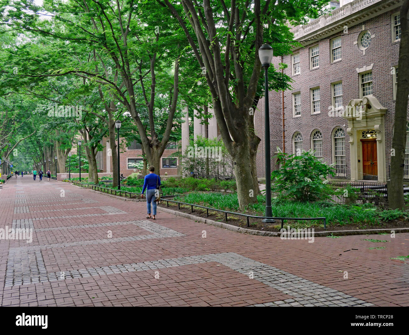 PHILADELPHIA - MAY 2019: Locust Walk on the campus of the University of ...