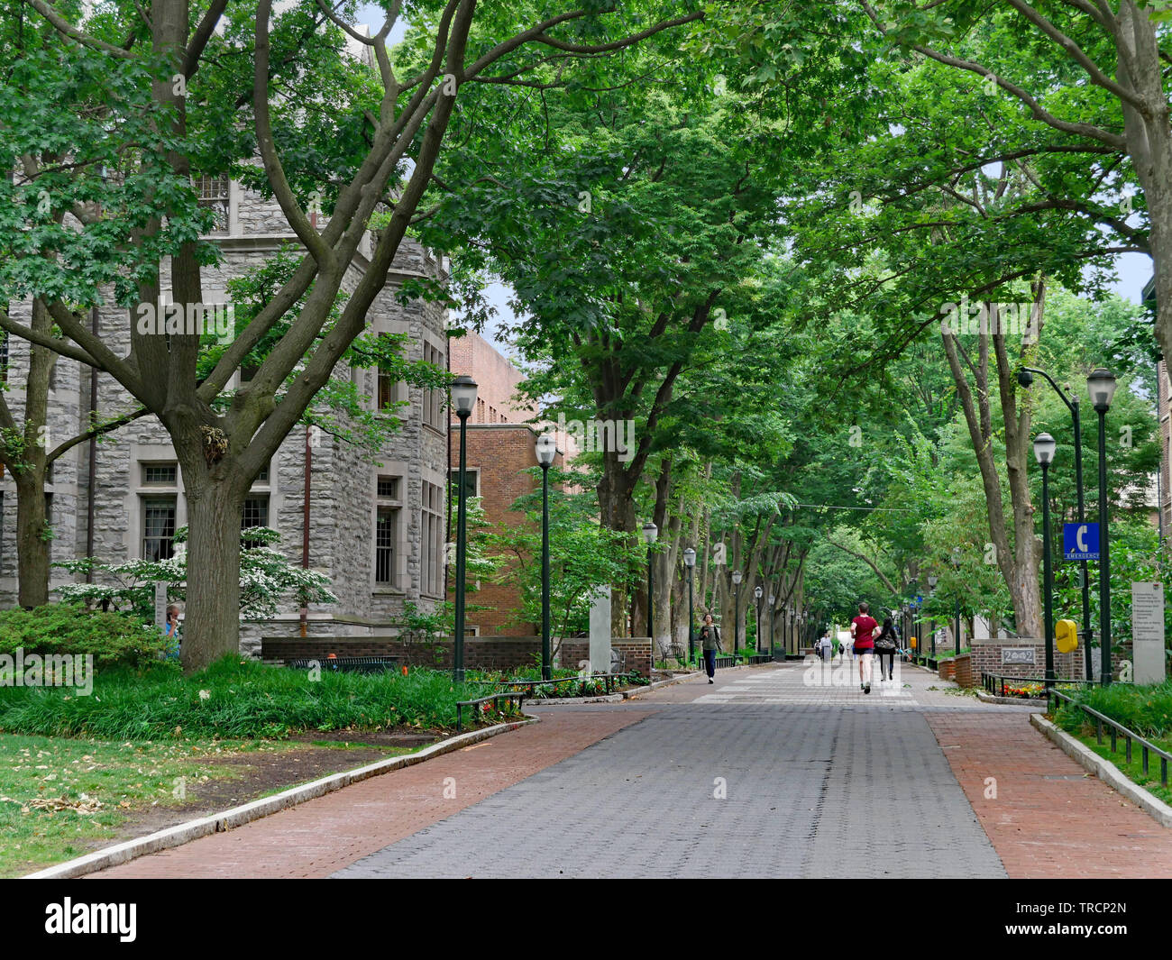 PHILADELPHIA - MAY 2019: Locust Walk on the campus of the University of ...
