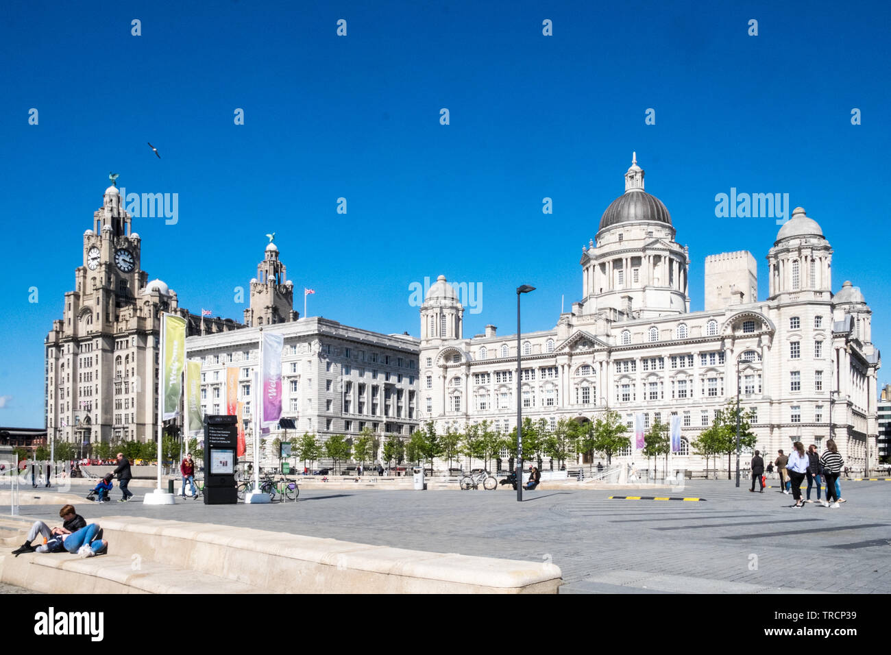 Three Graces,architecture,design,building,buildings,waterfront,River ...