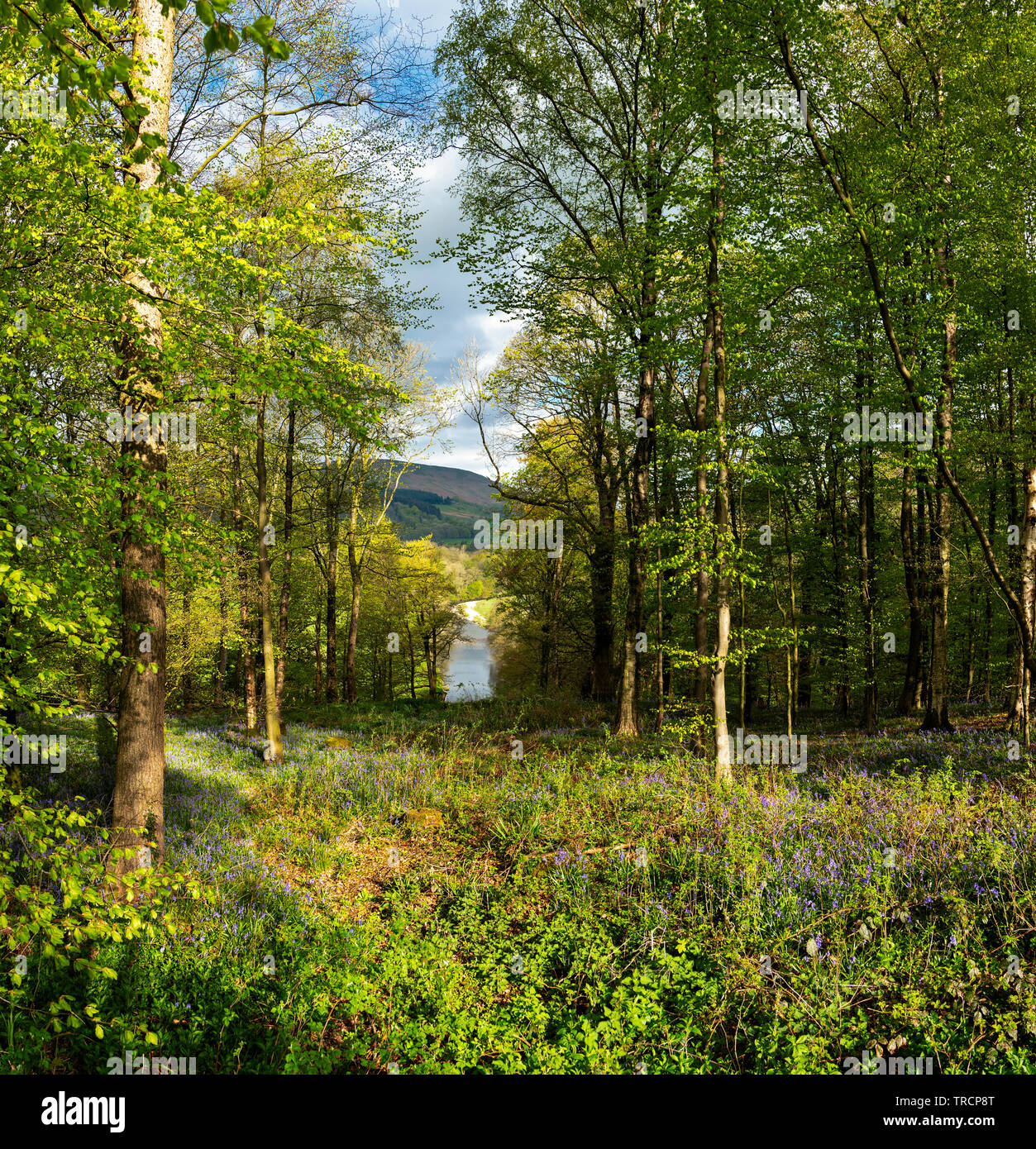 Whitewell lancashire hi-res stock photography and images - Alamy