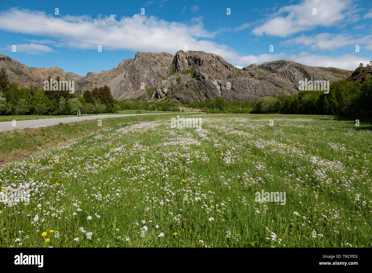 Leka Island, Norway Stock Photo - Alamy