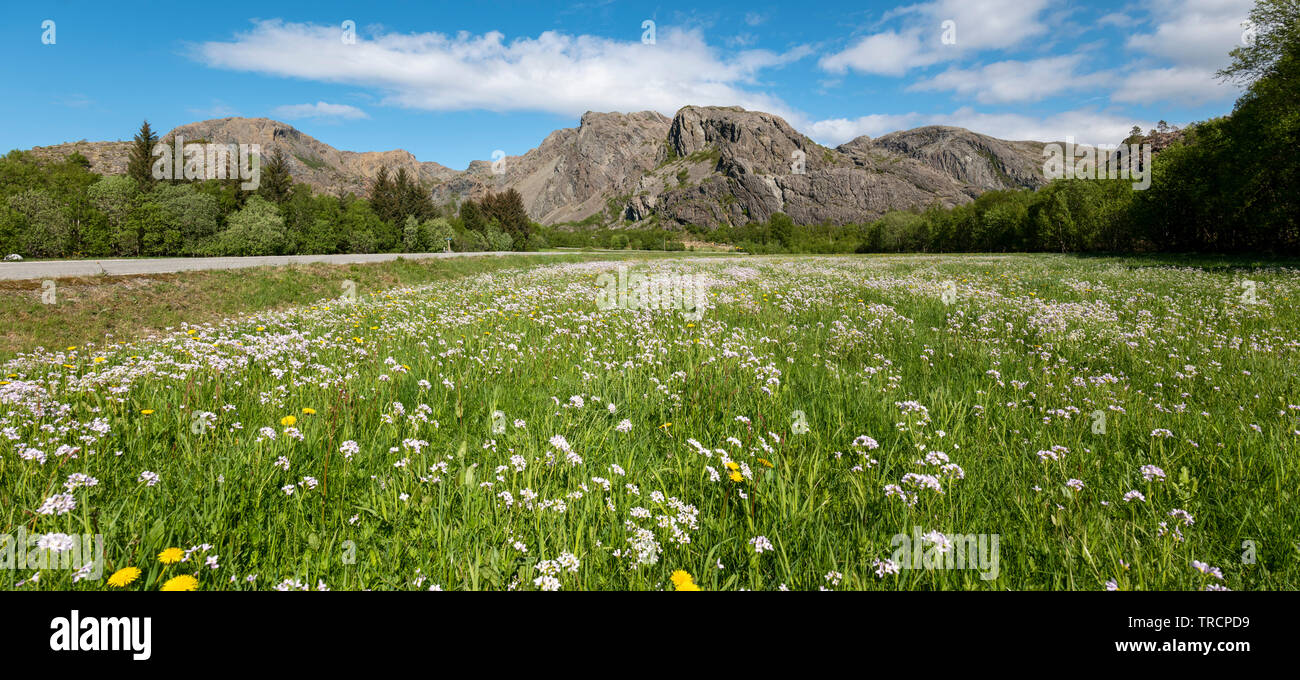 Norwegian geological national monument hi-res stock photography and ...