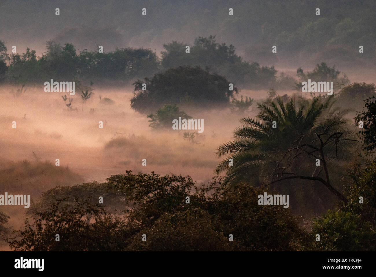 People of Bangladesh Stock Photo - Alamy