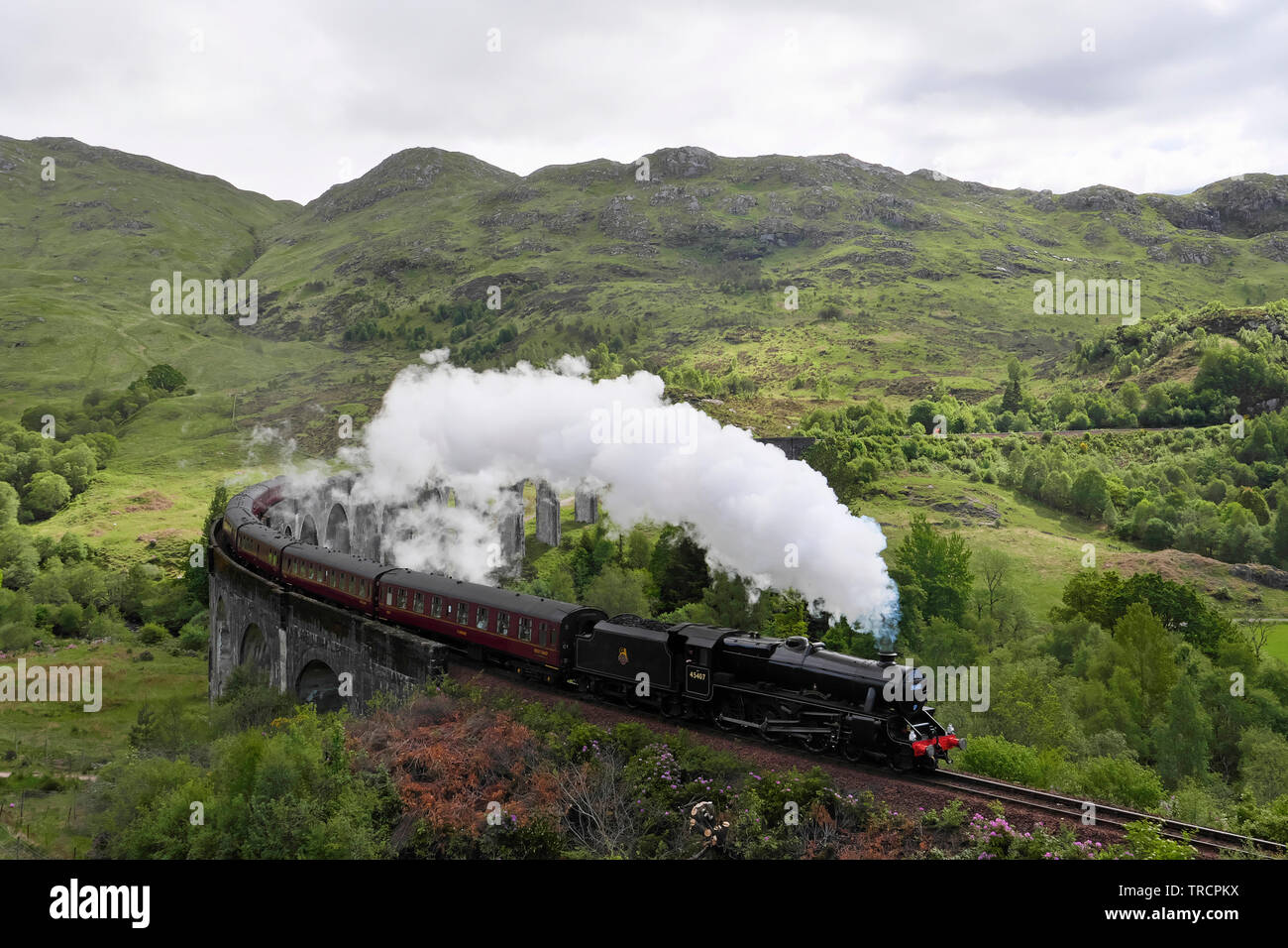 Steam train passing over the Glenfinnan Viaduct Stock Photo - Alamy
