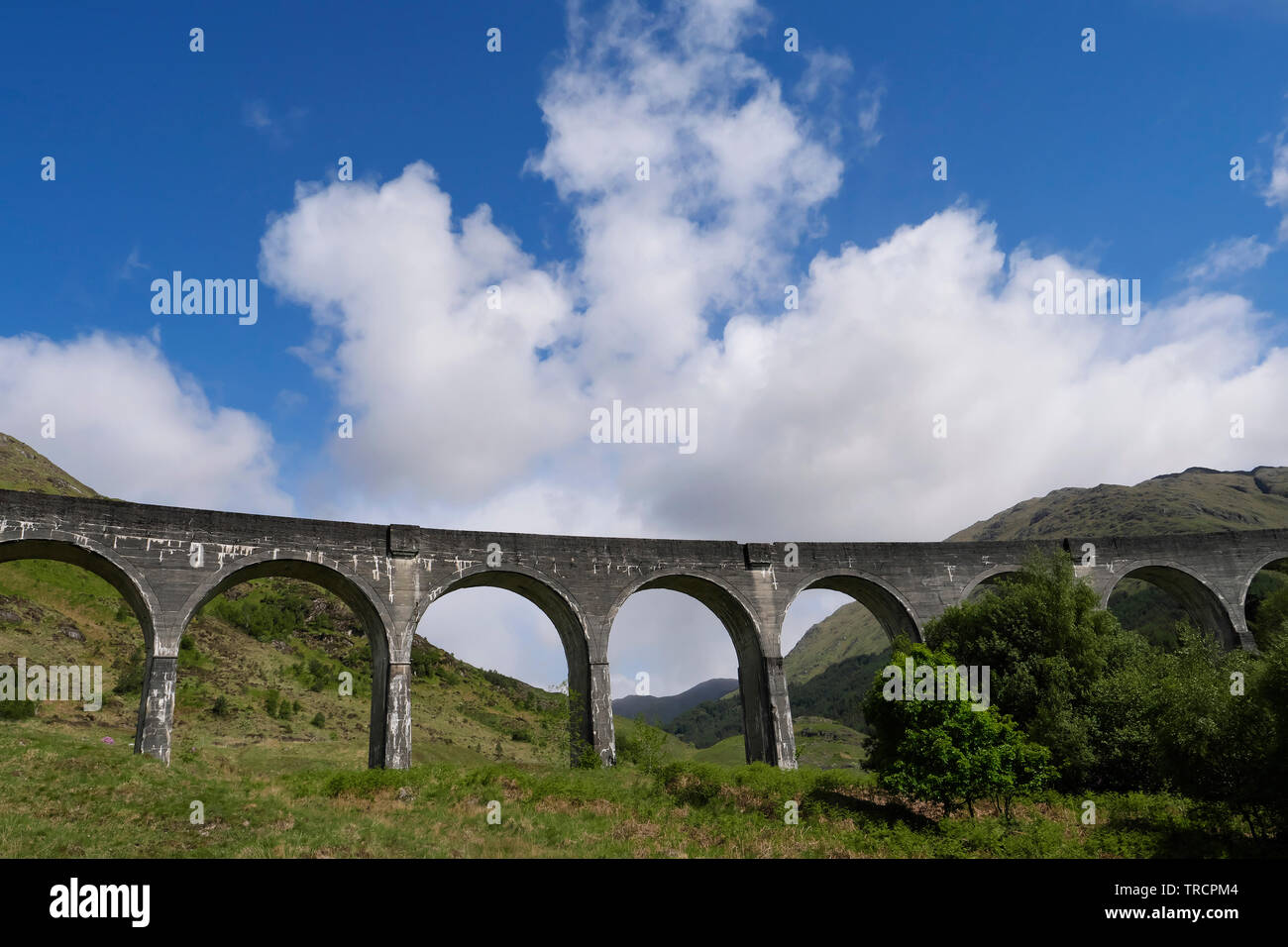 Curved railway viaduct hi-res stock photography and images - Alamy