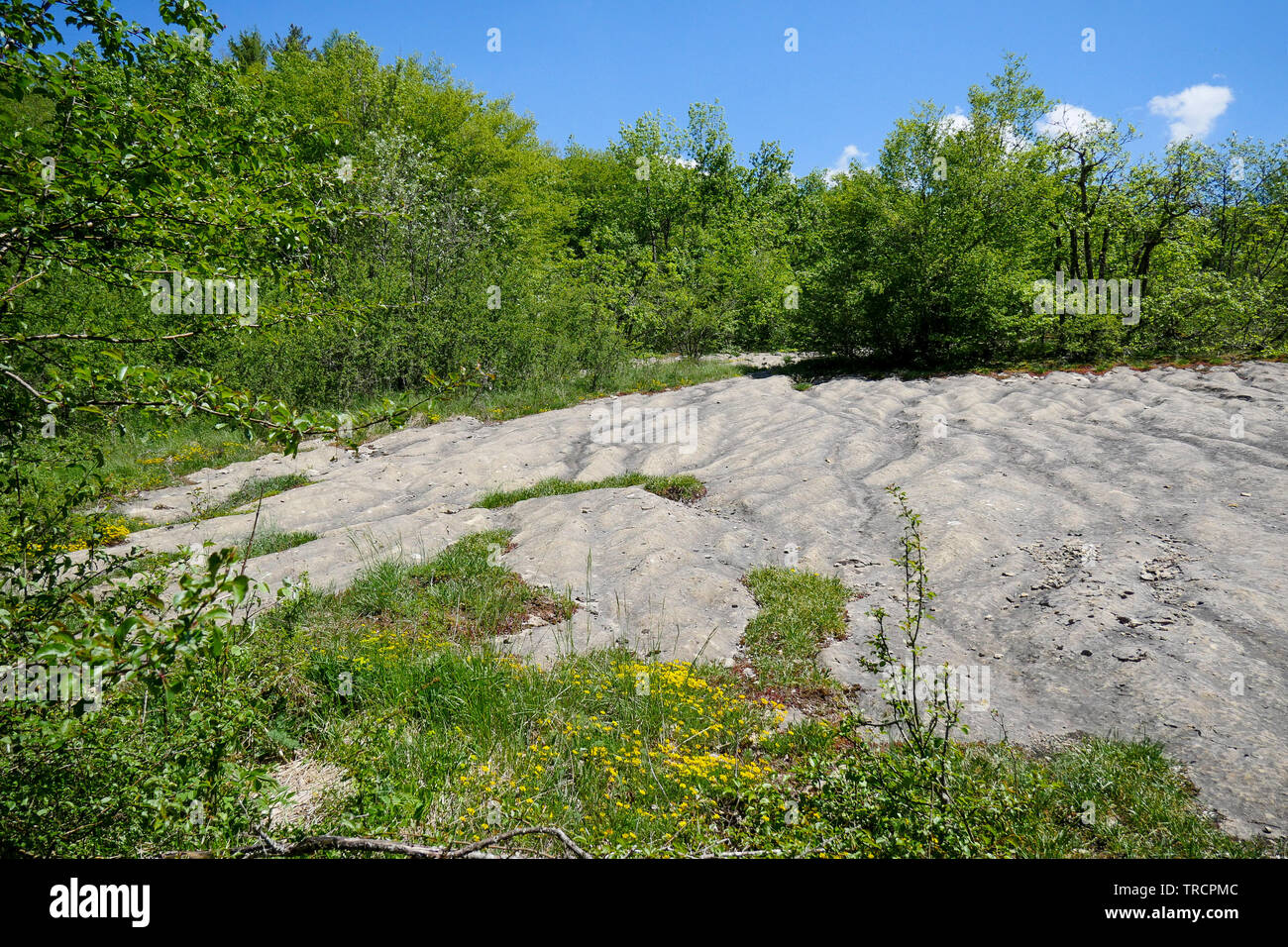 Rocky slabs sculpted by erosion, La Ragiaz, Ain, France Stock Photo - Alamy