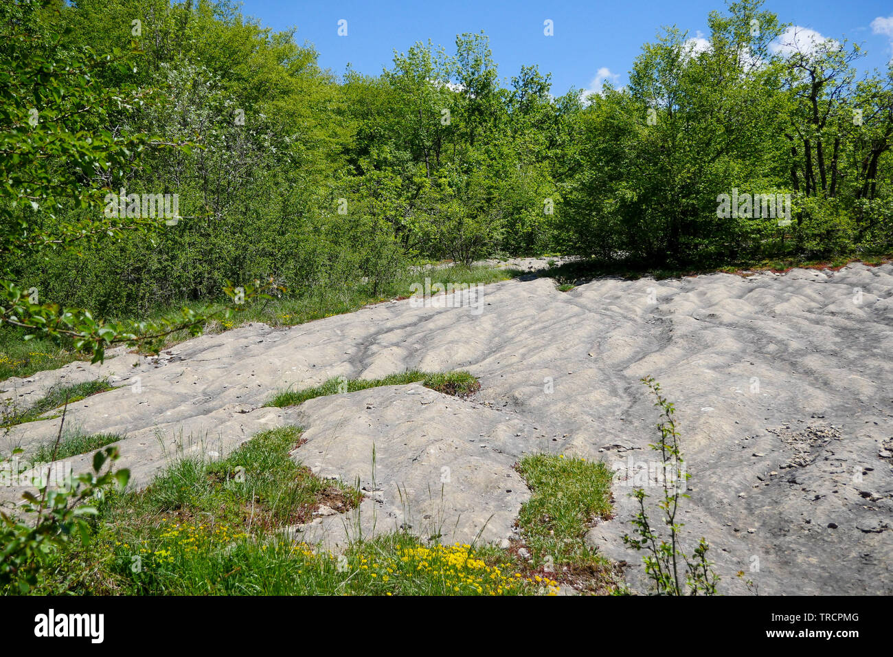 Rocky slabs sculpted by erosion, La Ragiaz, Ain, France Stock Photo - Alamy