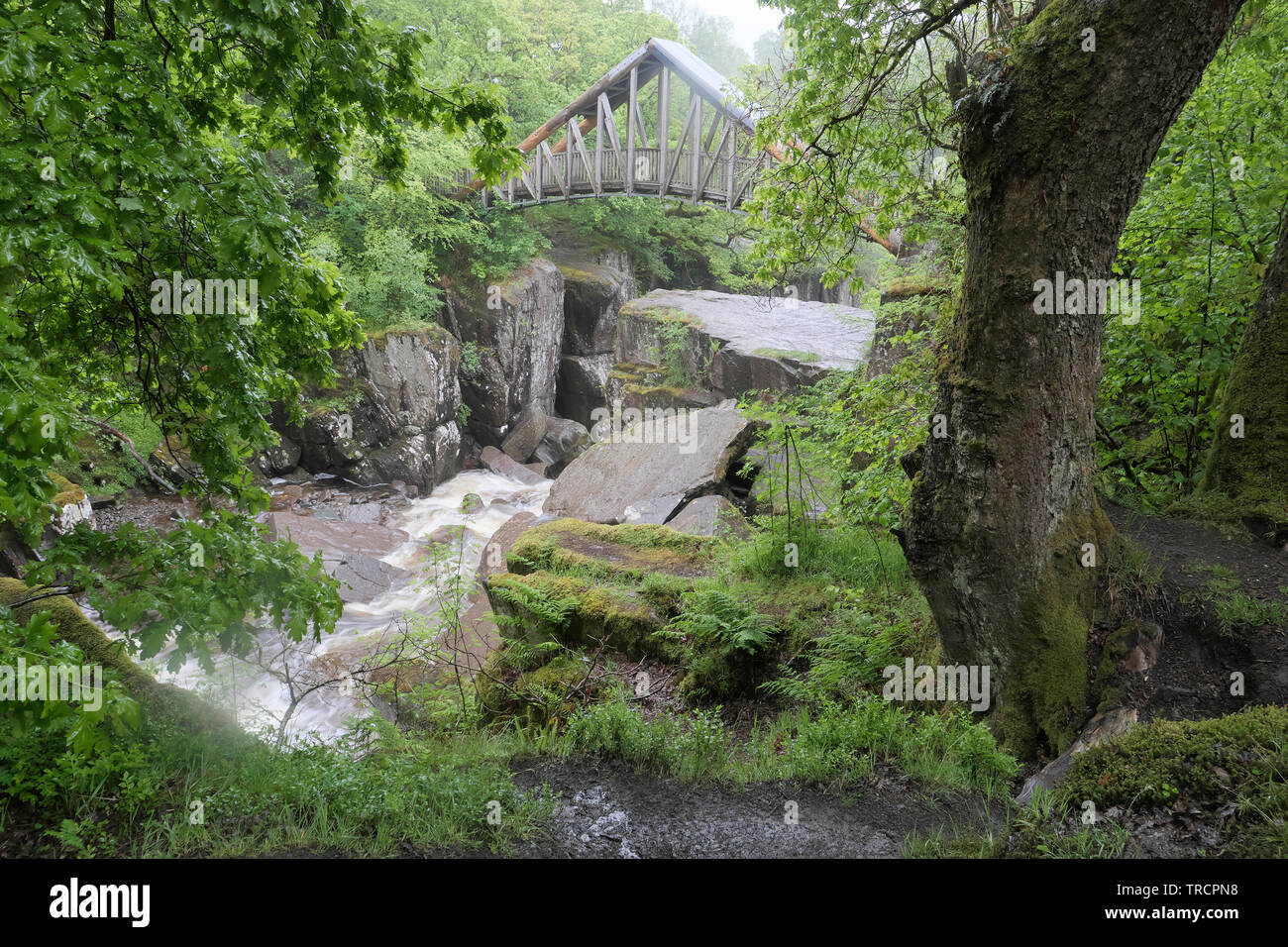 Footbridge over the Bracklinn Falls near Callander Scotland Stock Photo ...
