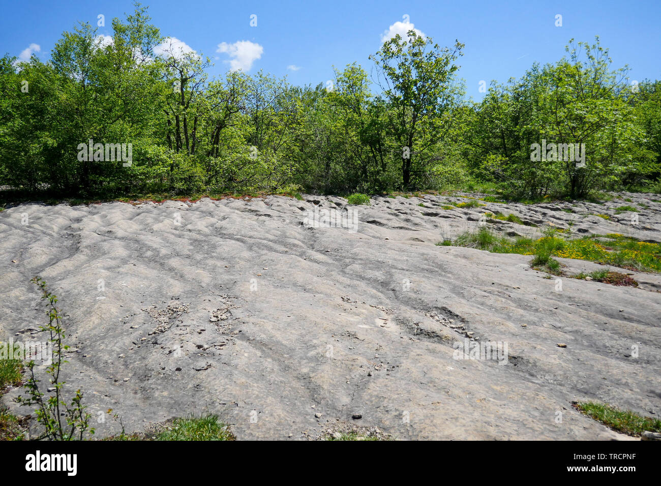 Rocky slabs sculpted by erosion, La Ragiaz, Ain, France Stock Photo - Alamy