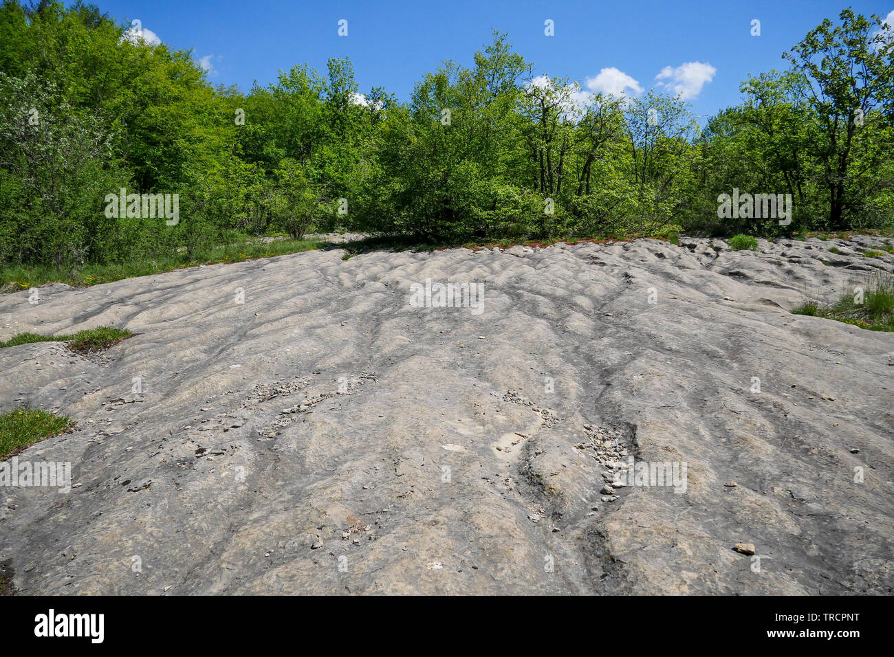 Rocky slabs sculpted by erosion, La Ragiaz, Ain, France Stock Photo - Alamy
