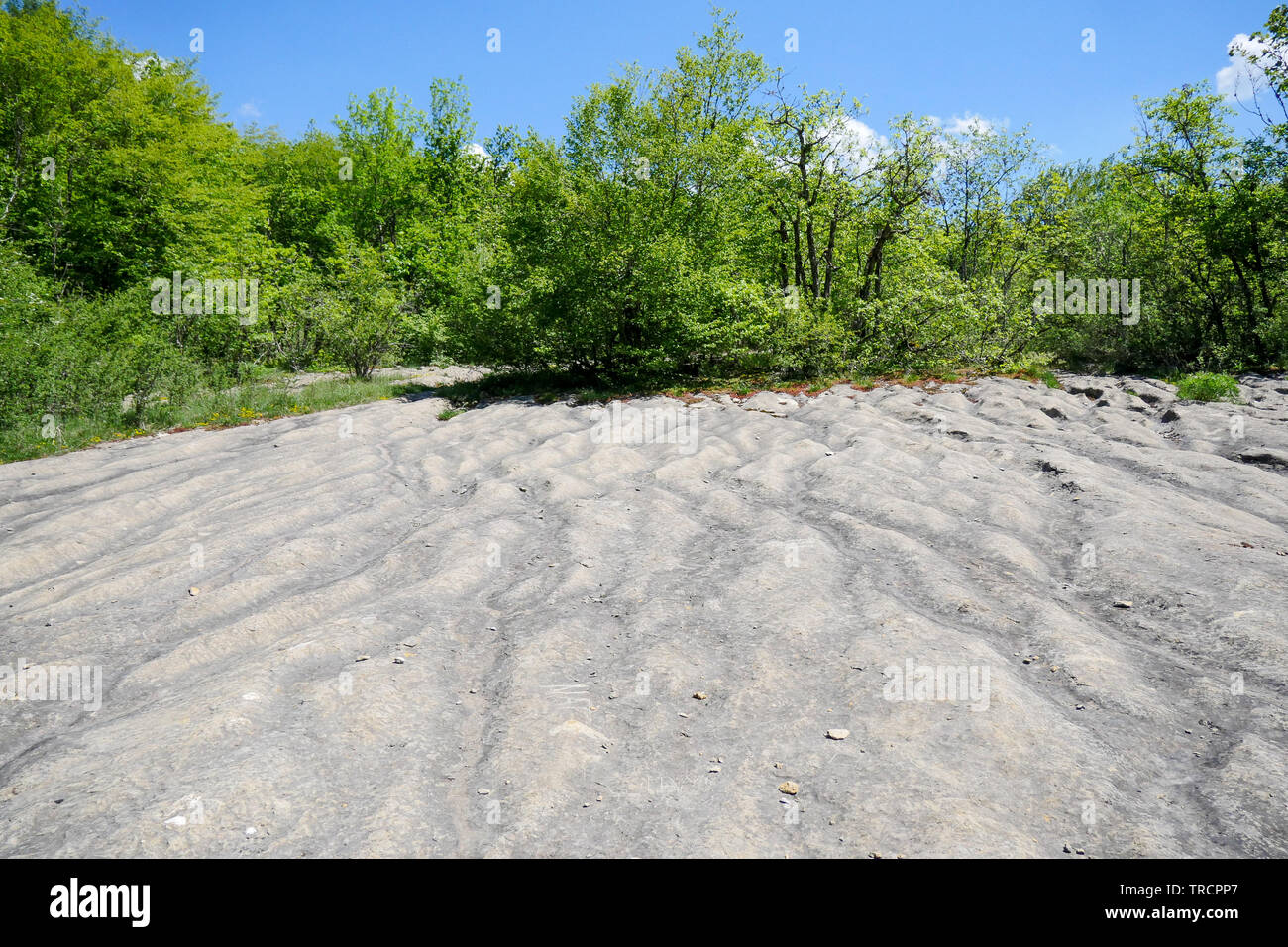 Rocky slabs sculpted by erosion, La Ragiaz, Ain, France Stock Photo - Alamy