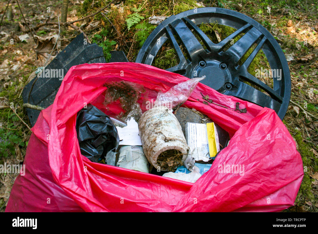 Collecting or picking up trash, garbage and plastic for cleaning in a ...