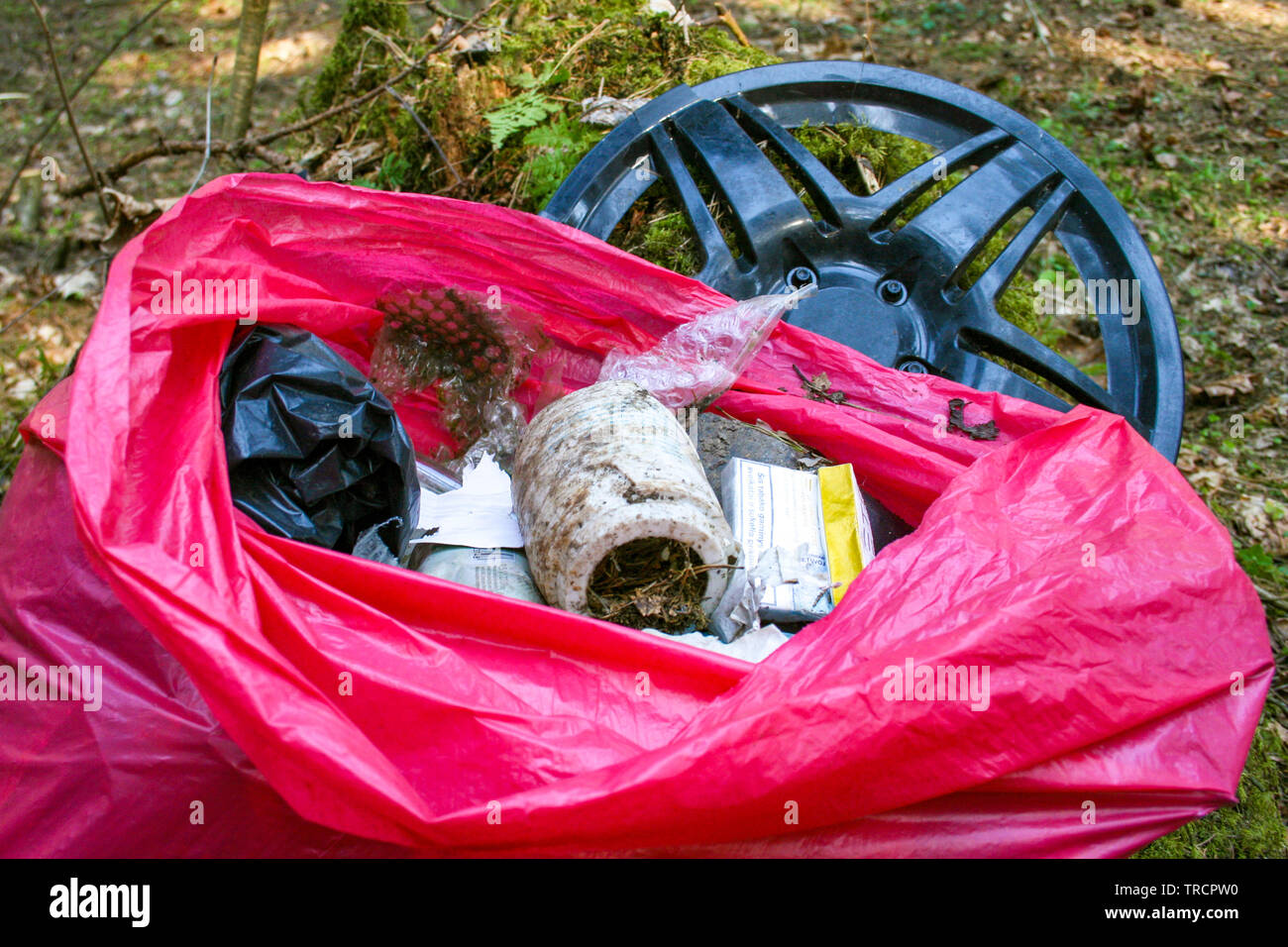 Collecting or picking up trash, garbage and plastic for cleaning in a ...