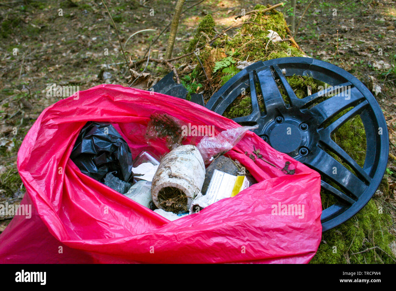 Collecting or picking up trash, garbage and plastic for cleaning in a ...