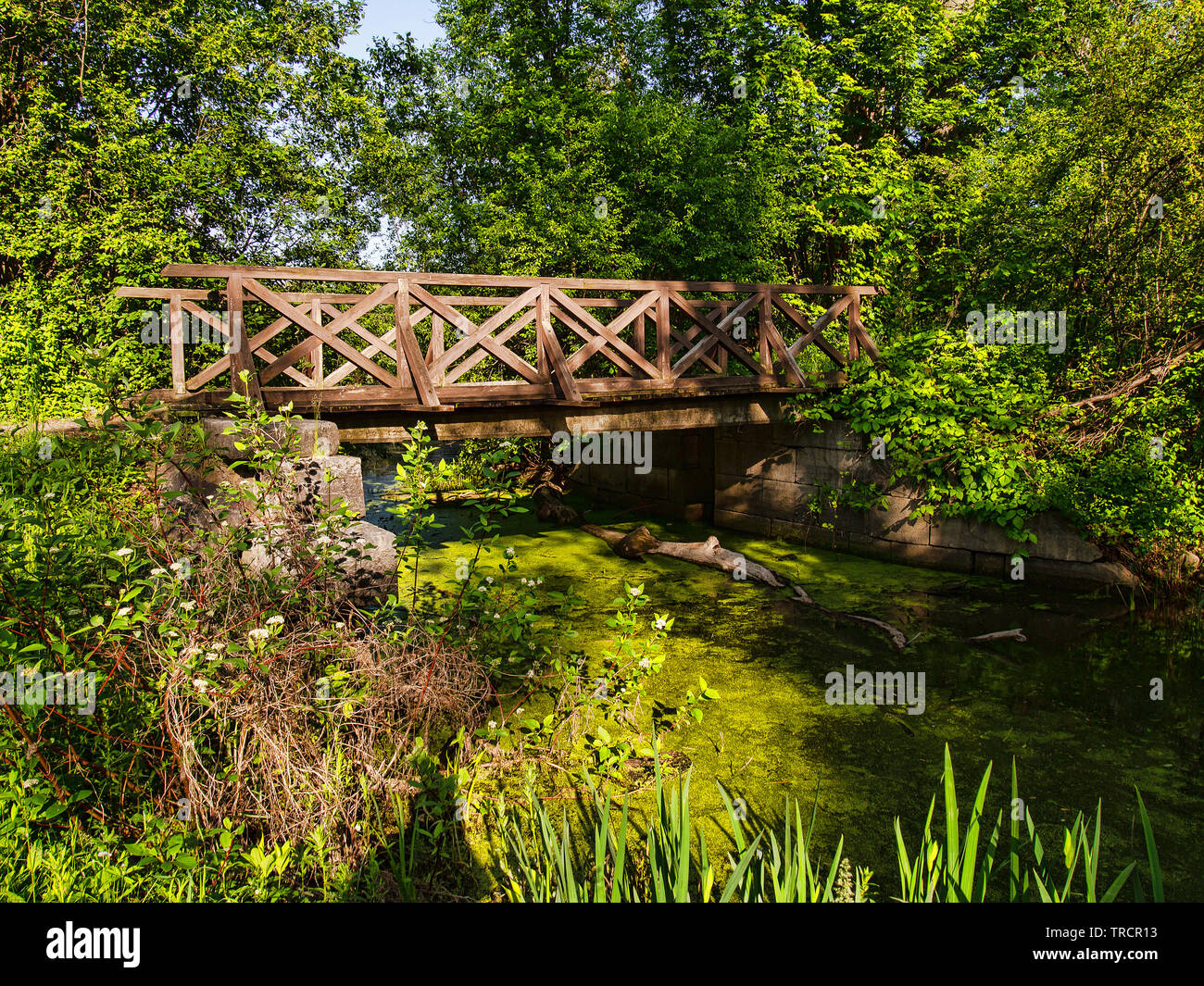 Footbridge over an outlet stream of the Seneca River in the Onondaga ...