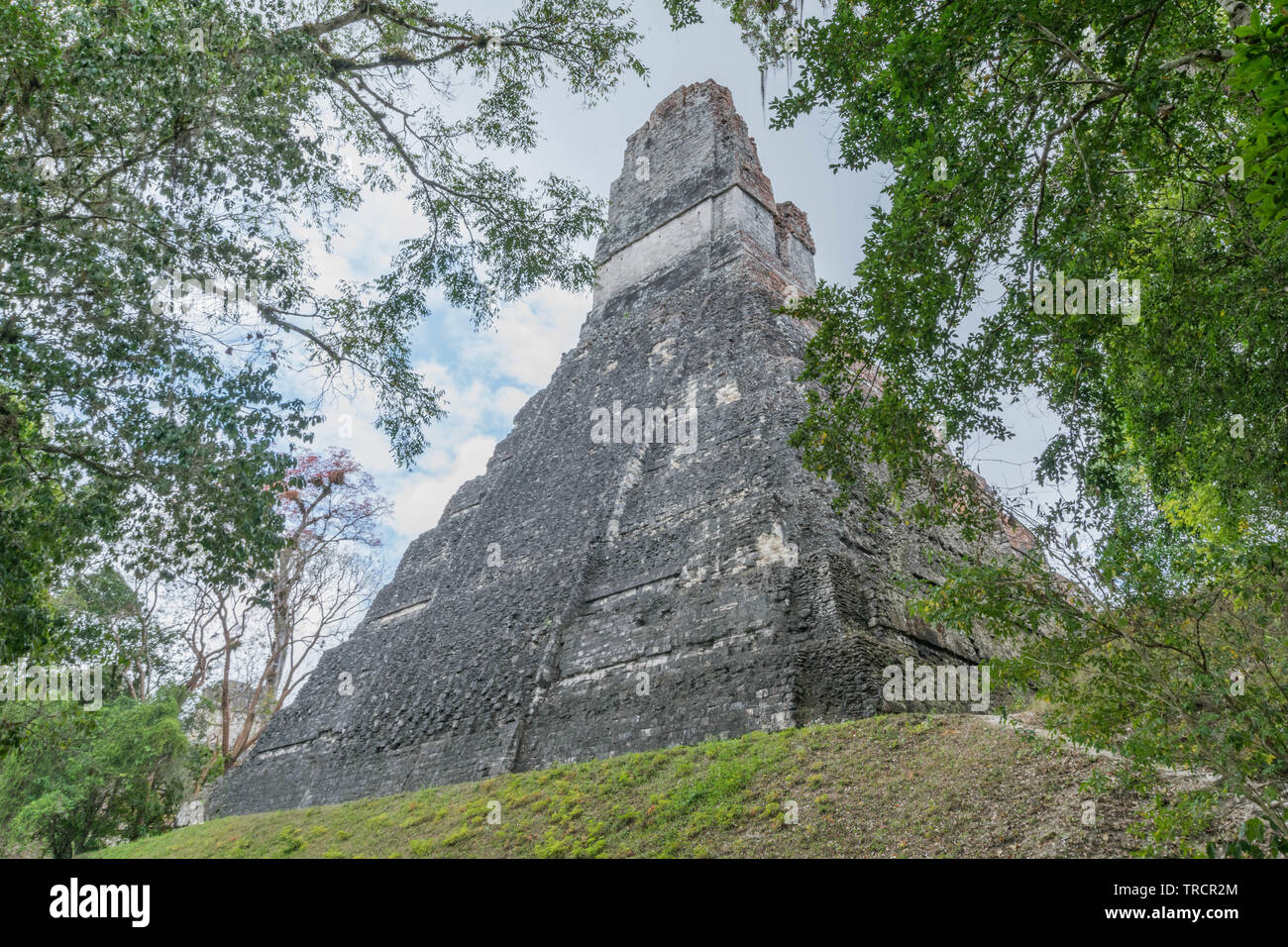 Ancient Mayan Pyramids at Tikal National Park, in Guatemala Stock Photo ...