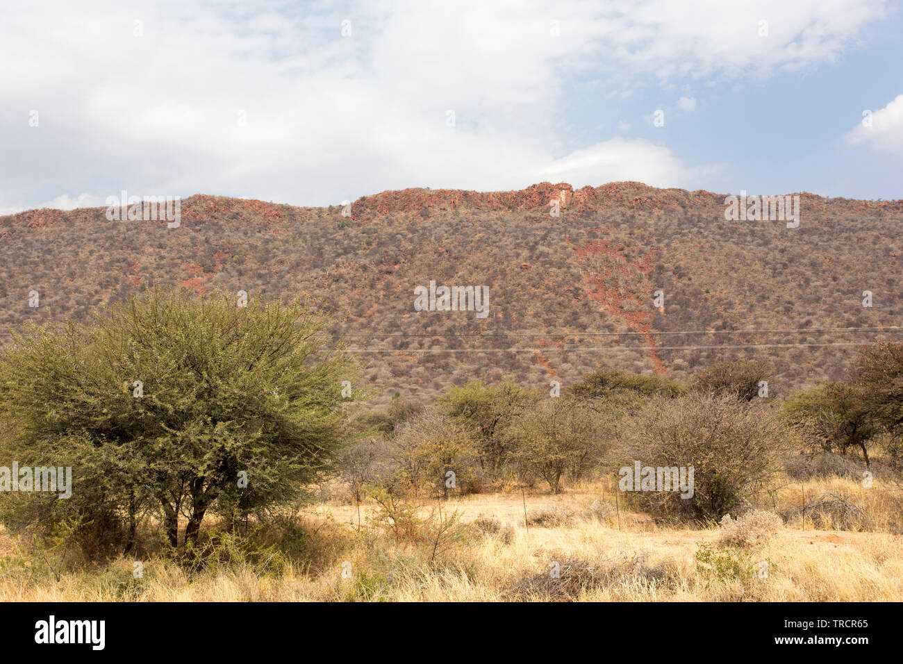 A waterberg plateau view in Namibia, south of Africa Stock Photo - Alamy