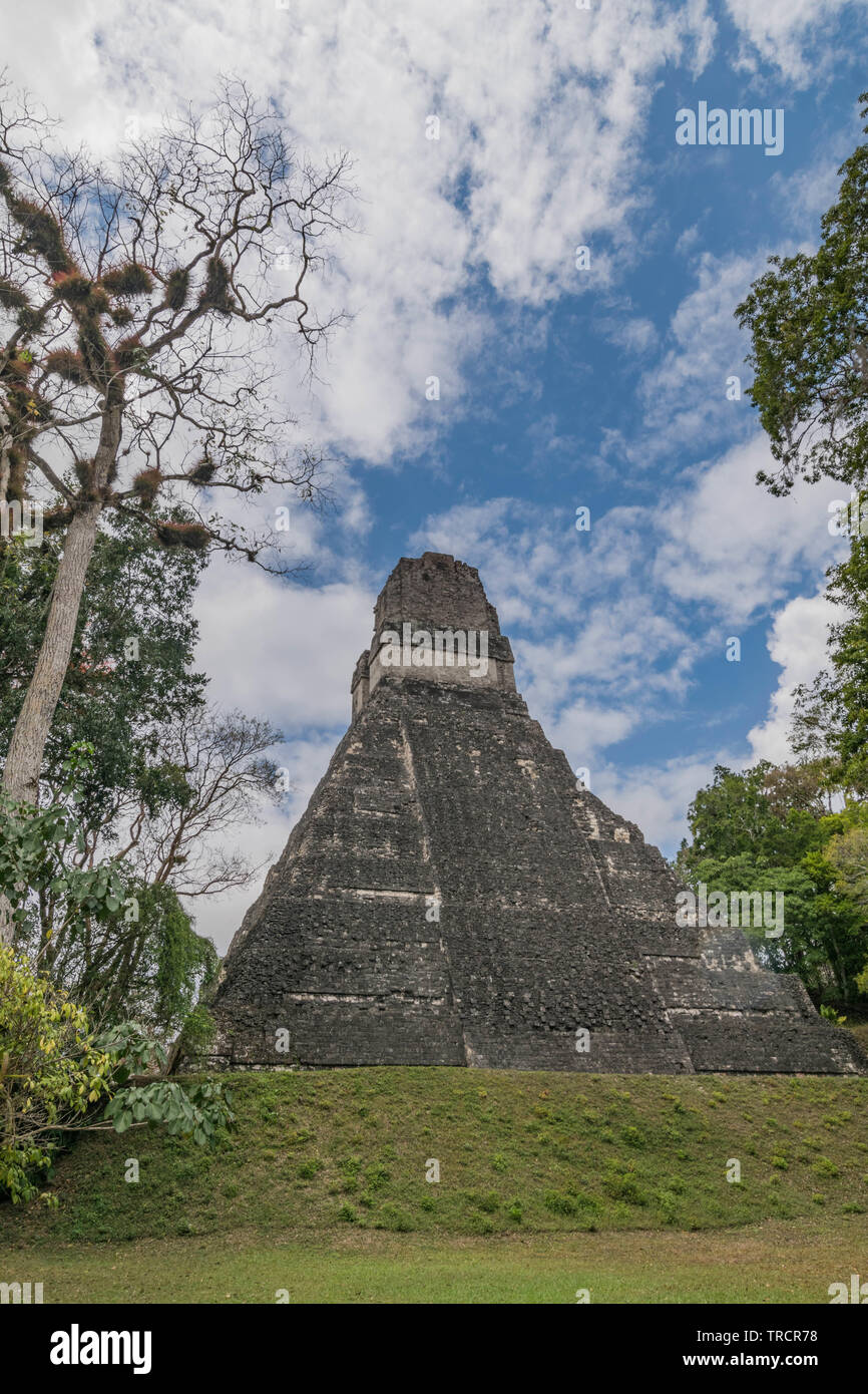 Ancient Mayan Pyramids at Tikal National Park, in Guatemala Stock Photo ...