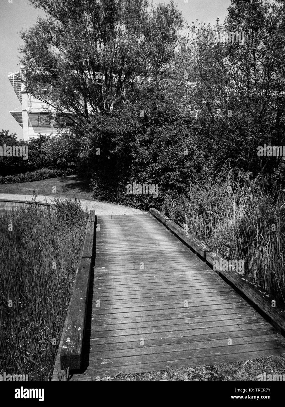 Tech walkway hi-res stock photography and images - Alamy