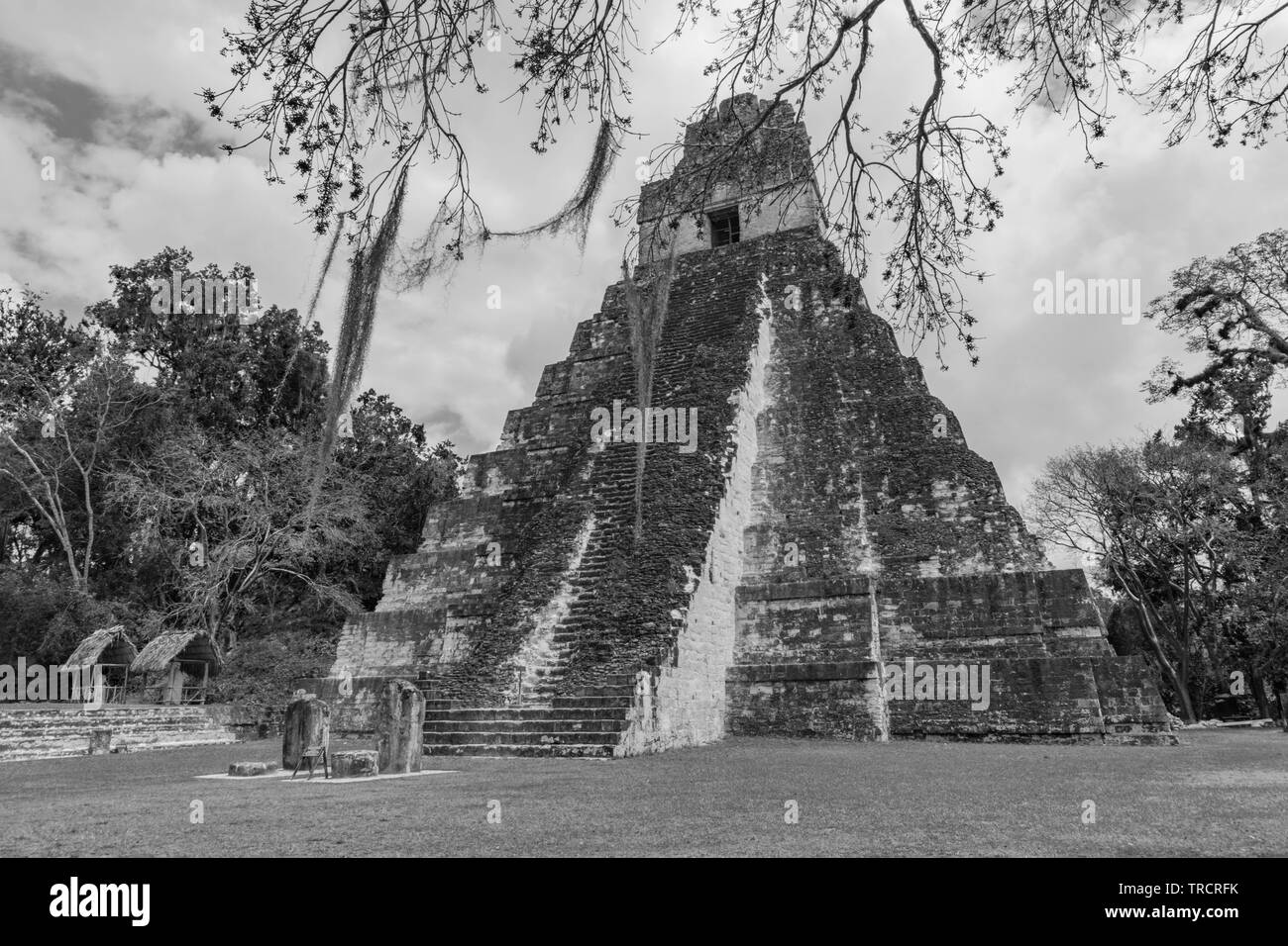 Ancient Mayan Pyramids at Tikal National Park, in Guatemala Stock Photo ...