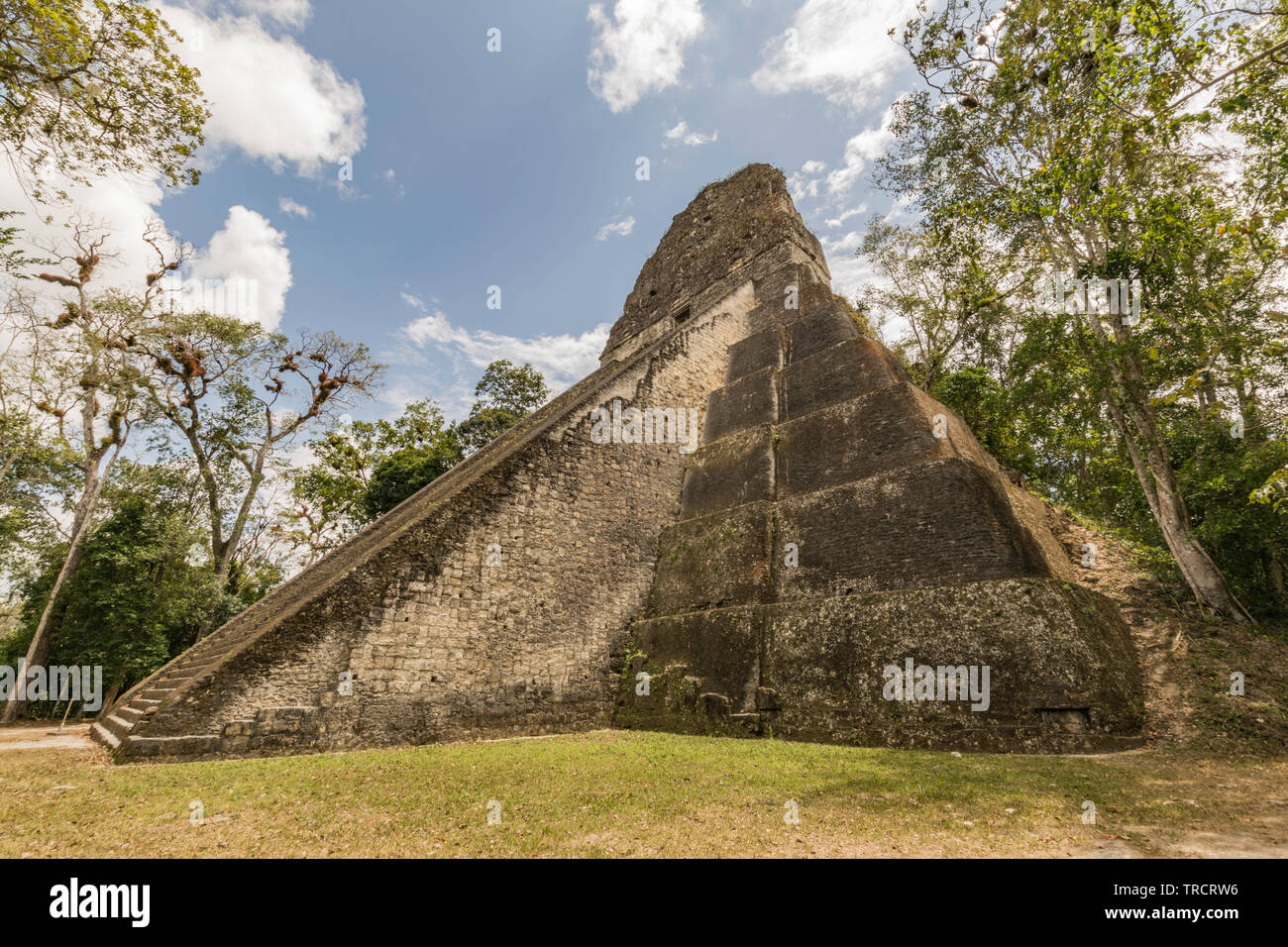 Ancient Mayan Pyramids at Tikal National Park, in Guatemala Stock Photo ...