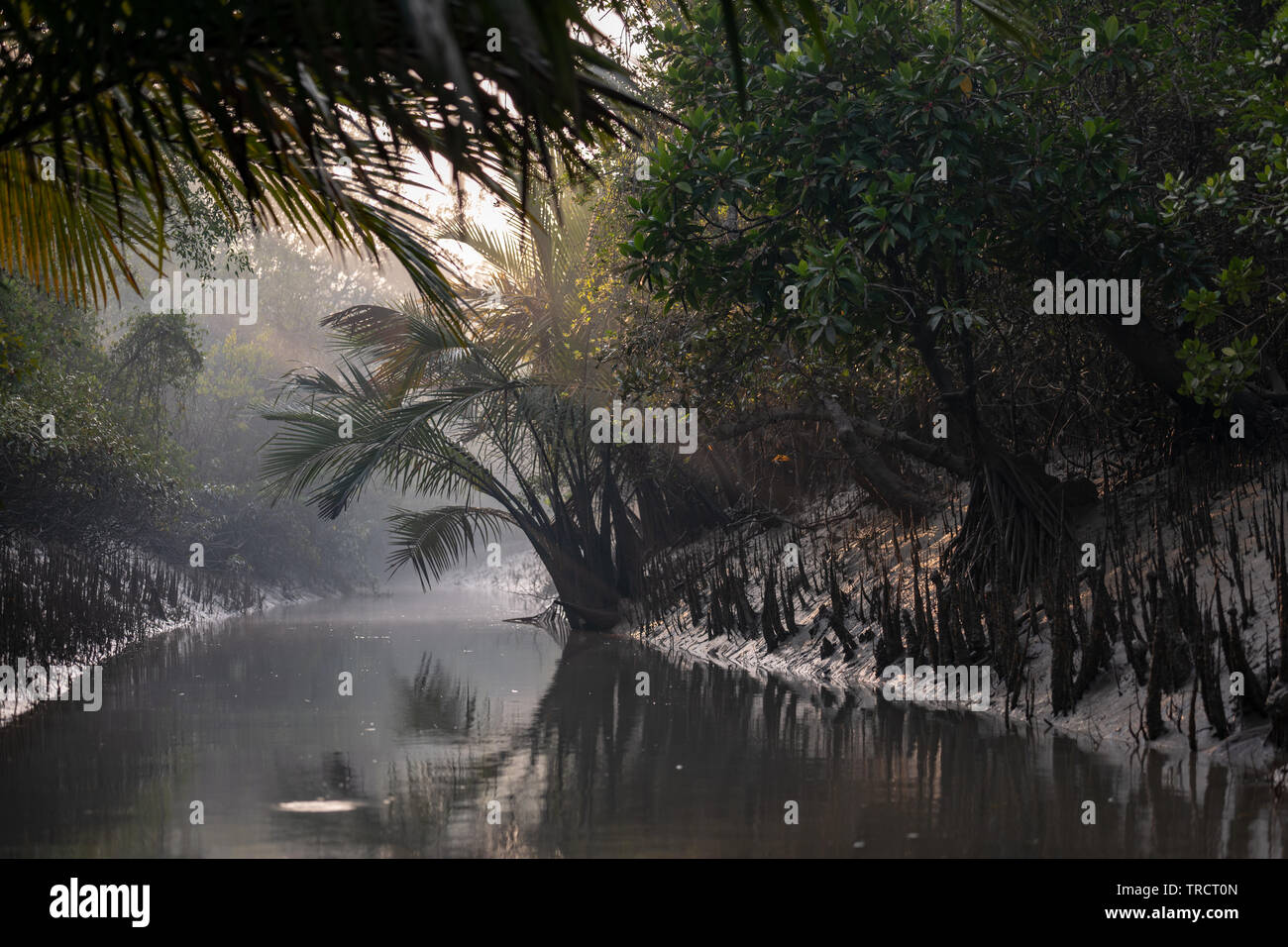 People of Bangladesh Stock Photo - Alamy