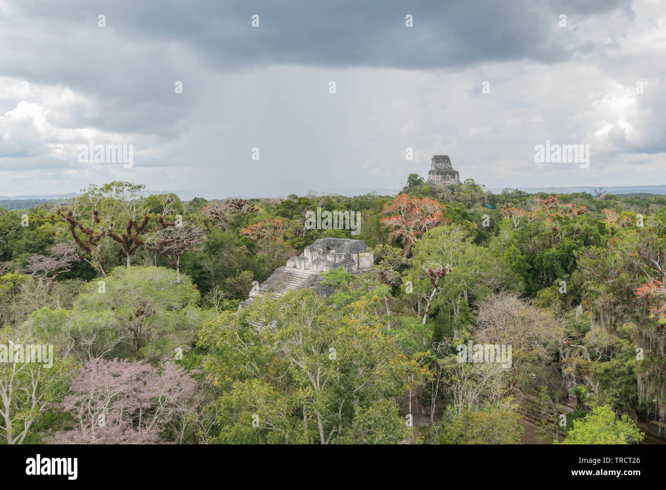 Mayan Jungle High Resolution Stock Photography and Images - Alamy