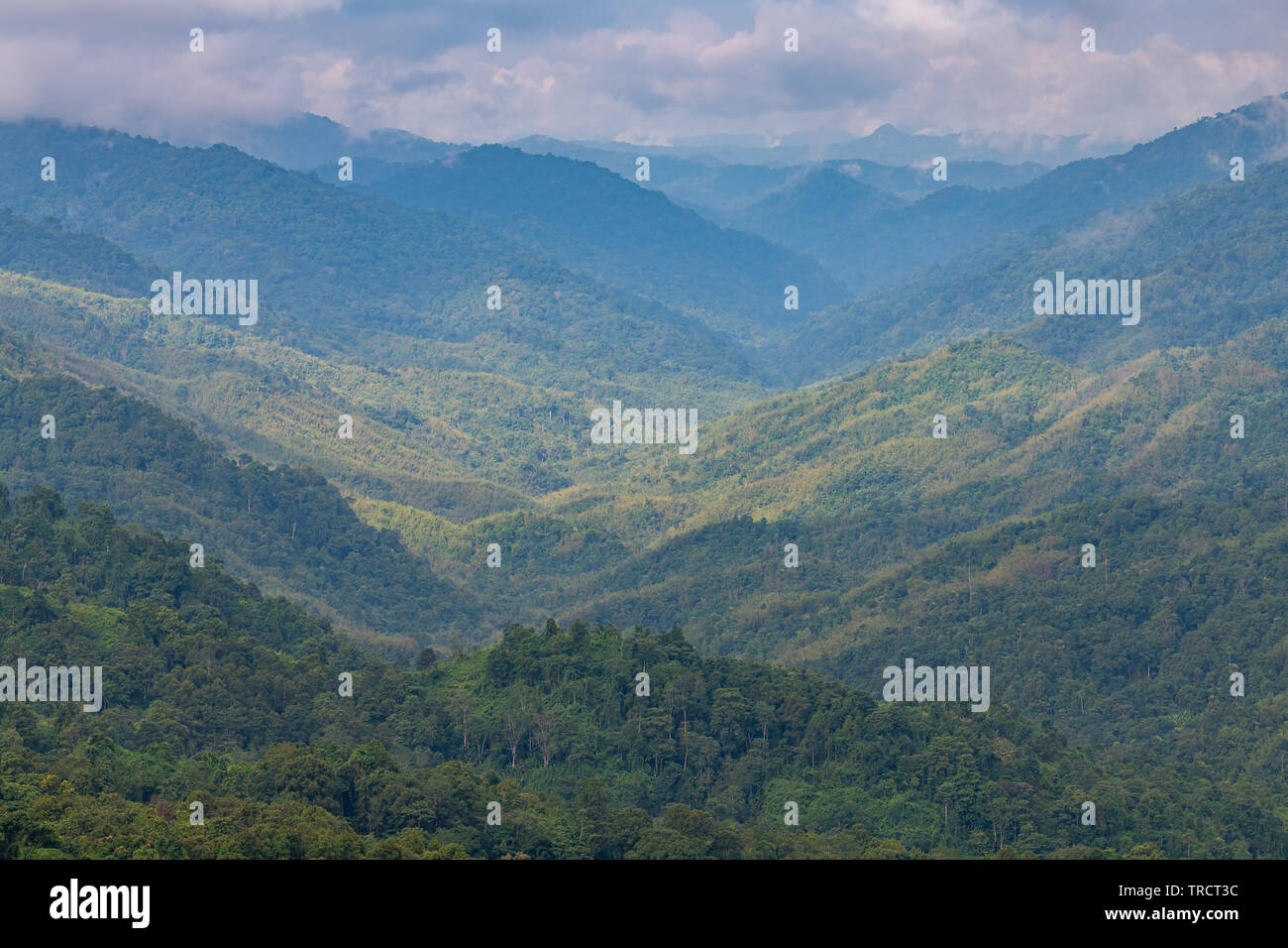 Complexity of mountain and valley landscape and tree diversity of ...
