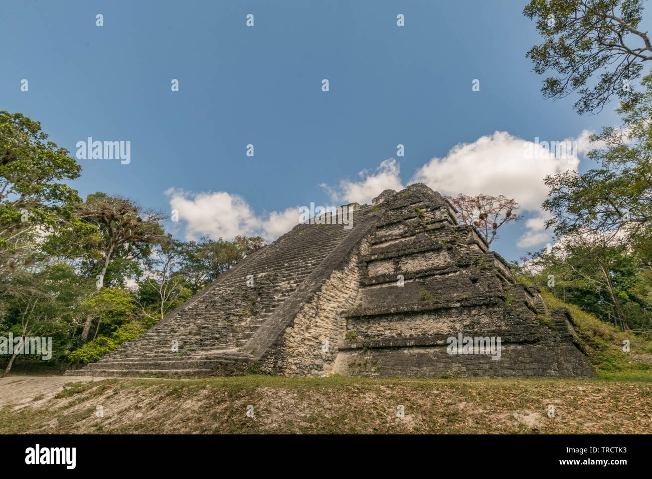 Ancient Mayan Pyramids at Tikal National Park, in Guatemala Stock Photo ...