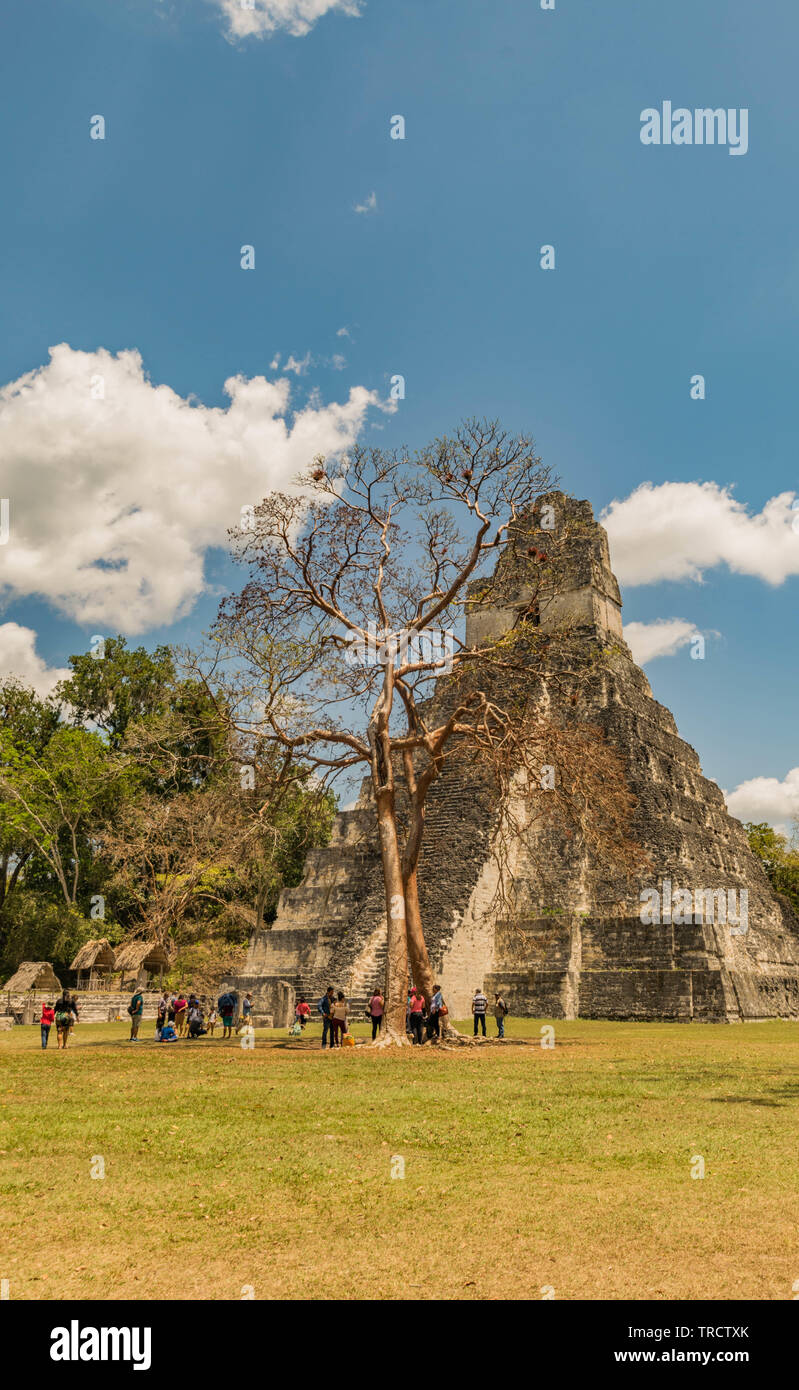 Ancient Mayan Pyramids at Tikal National Park, in Guatemala Stock Photo ...