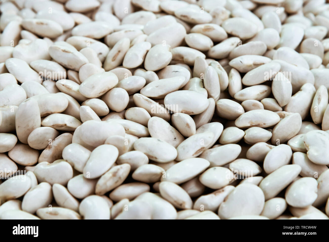 White haricot bean grains hi-res stock photography and images - Alamy